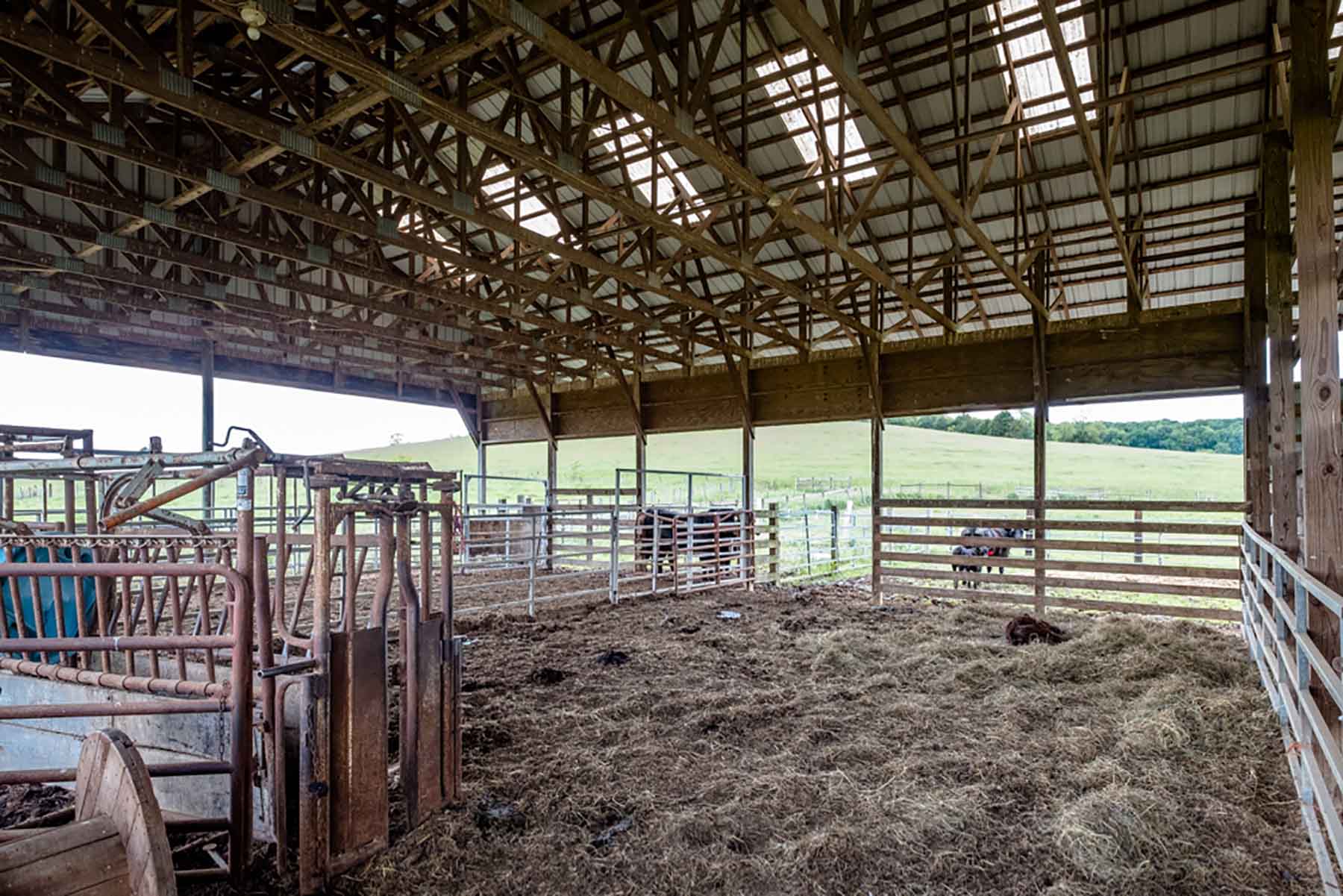 Woodside Farms - Past Auction - Virginia - Hall and Hall