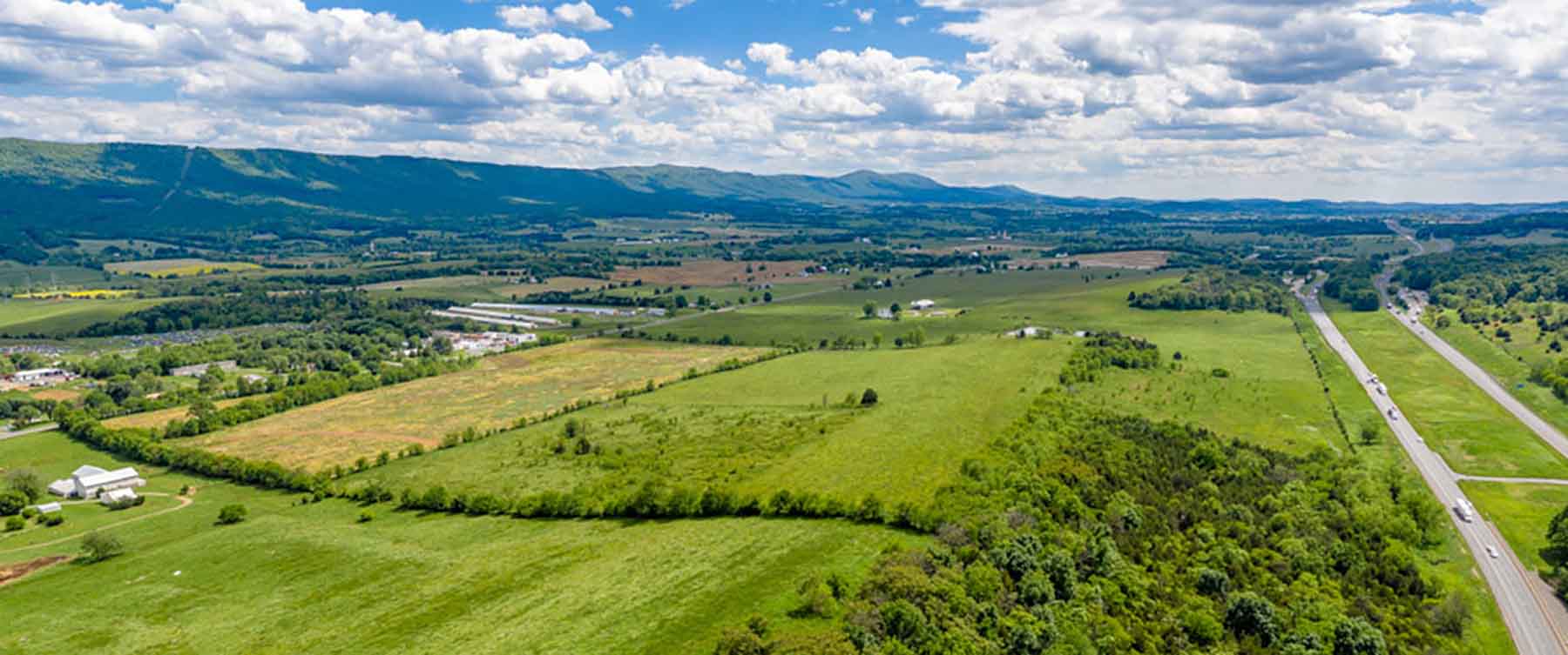 Woodside Farms - Past Auction - Virginia - Hall and Hall