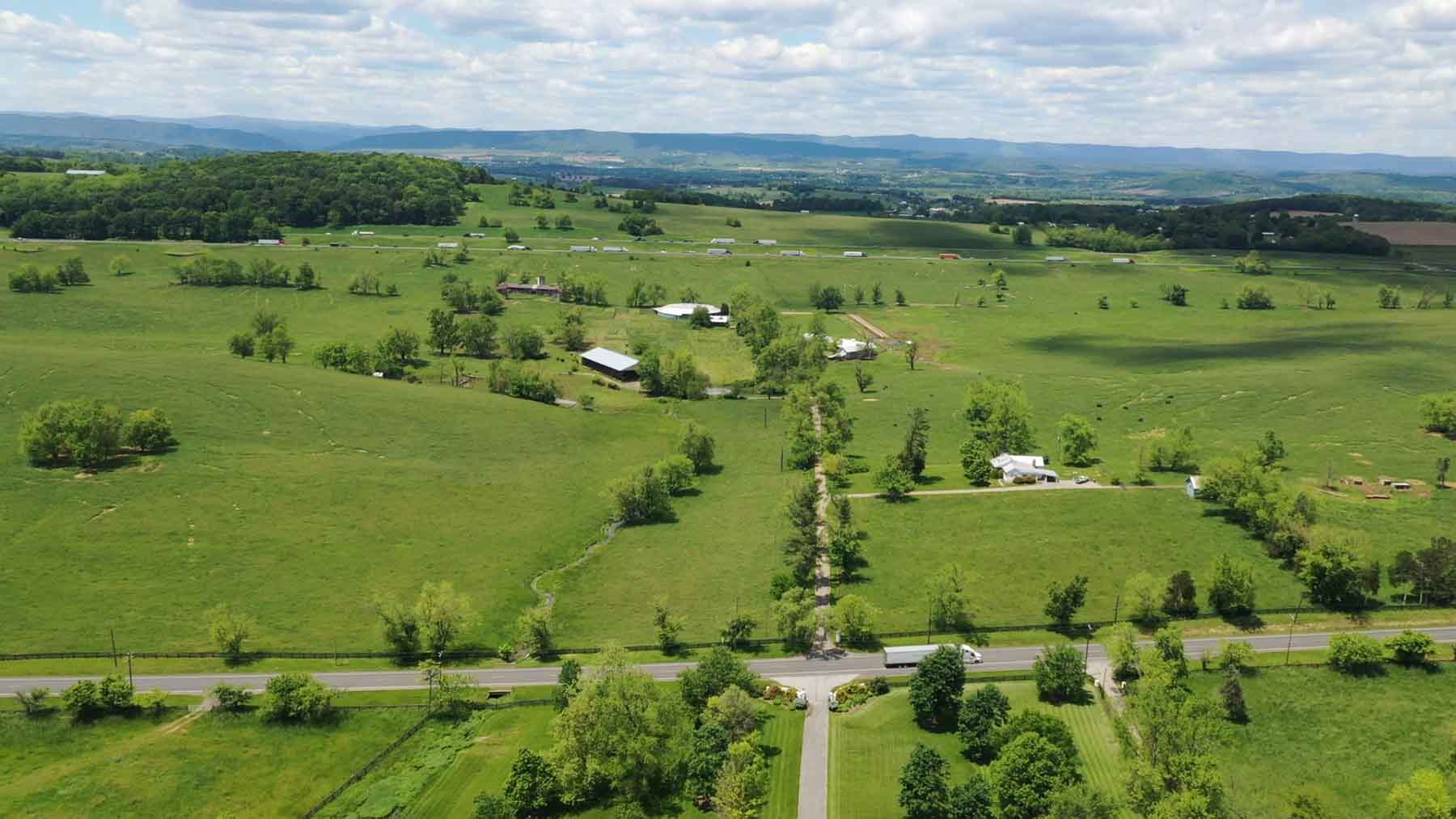 Woodside Farms - Past Auction - Virginia - Hall and Hall