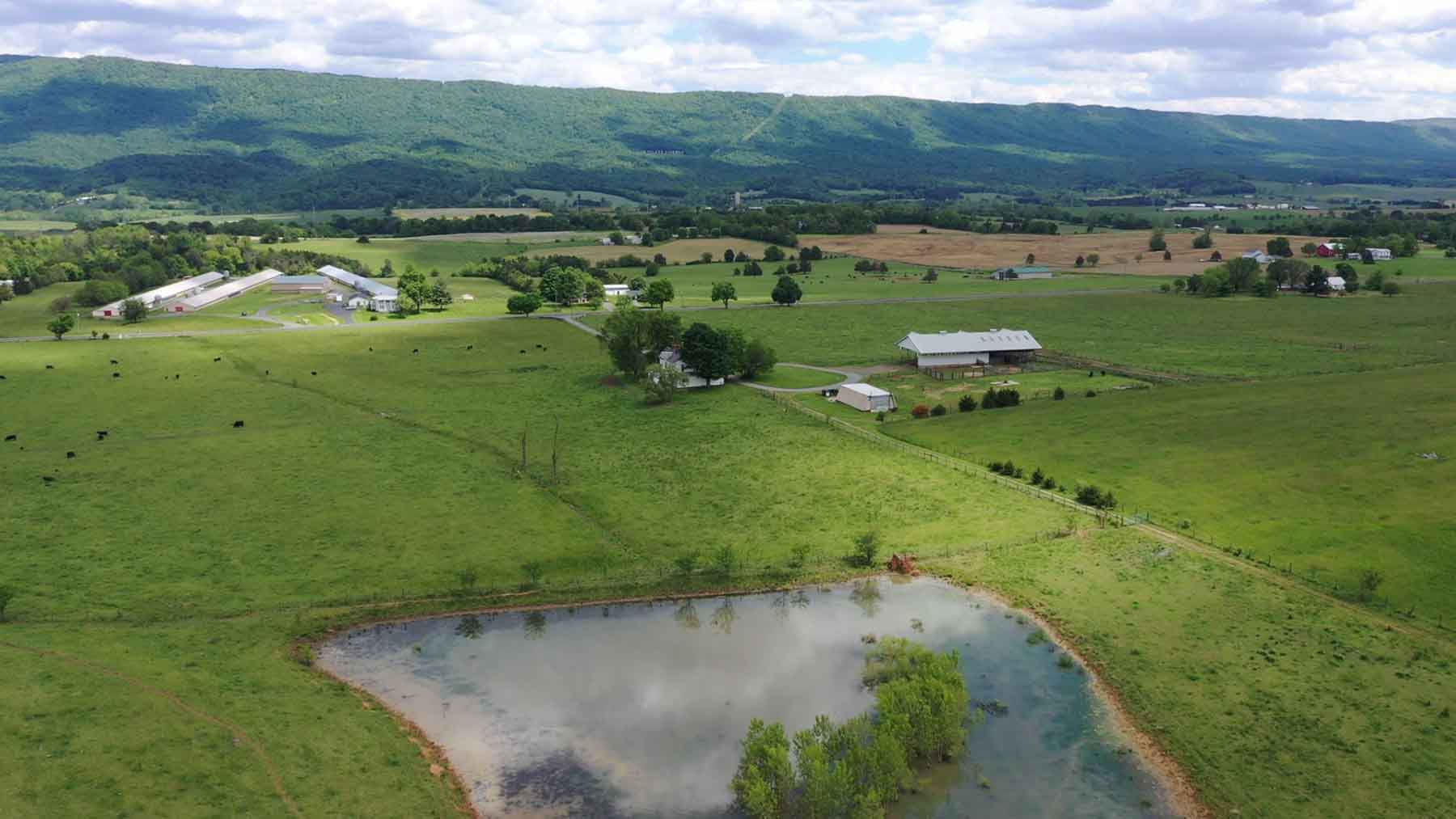 Woodside Farms - Past Auction - Virginia - Hall and Hall