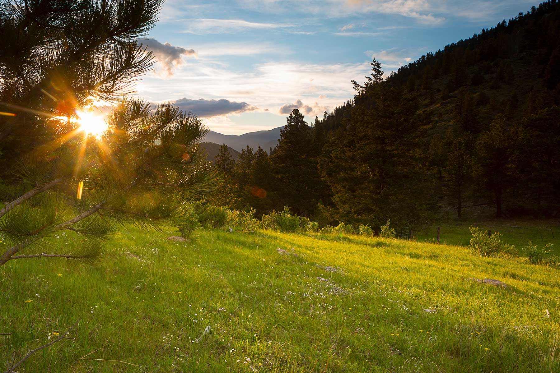 Saddle Notch Ranch - Sold - Colorado - Hall and Hall