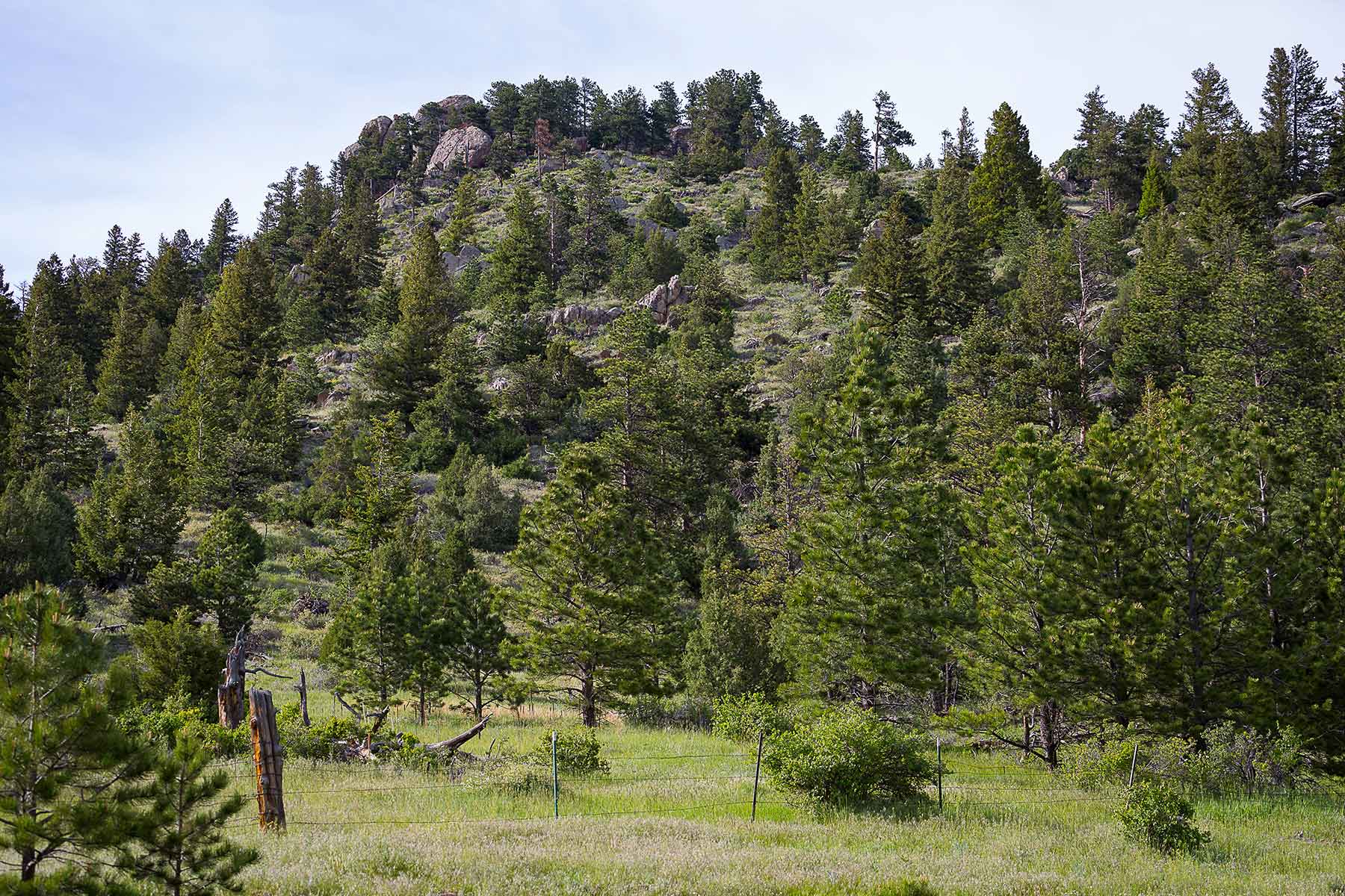 Saddle Notch Ranch - Sold - Colorado - Hall and Hall