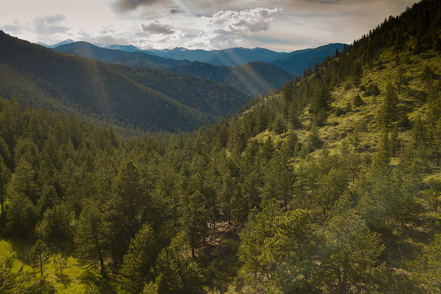 Saddle Notch Ranch - Sold - Colorado - Hall and Hall