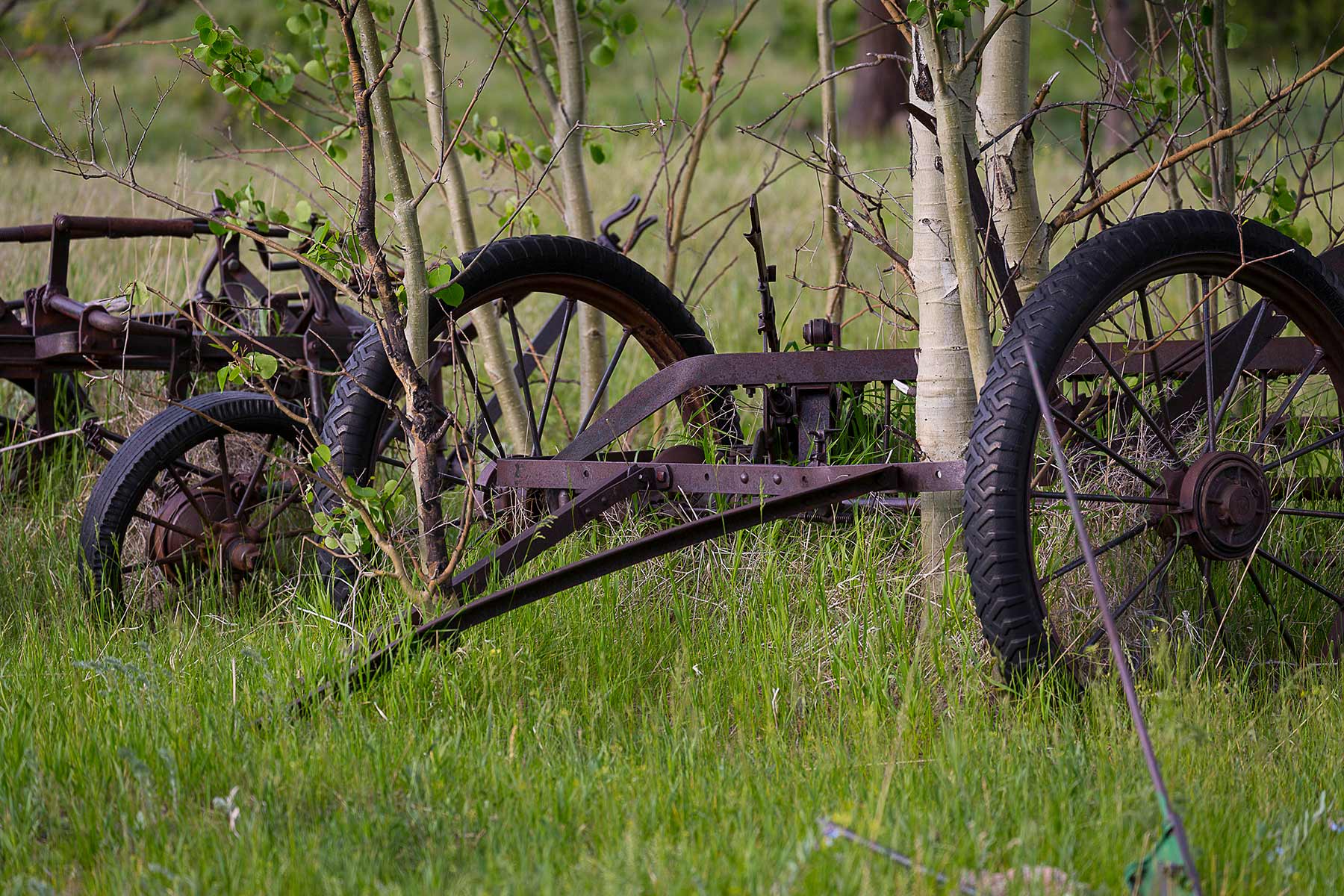 Saddle Notch Ranch - Sold - Colorado - Hall and Hall