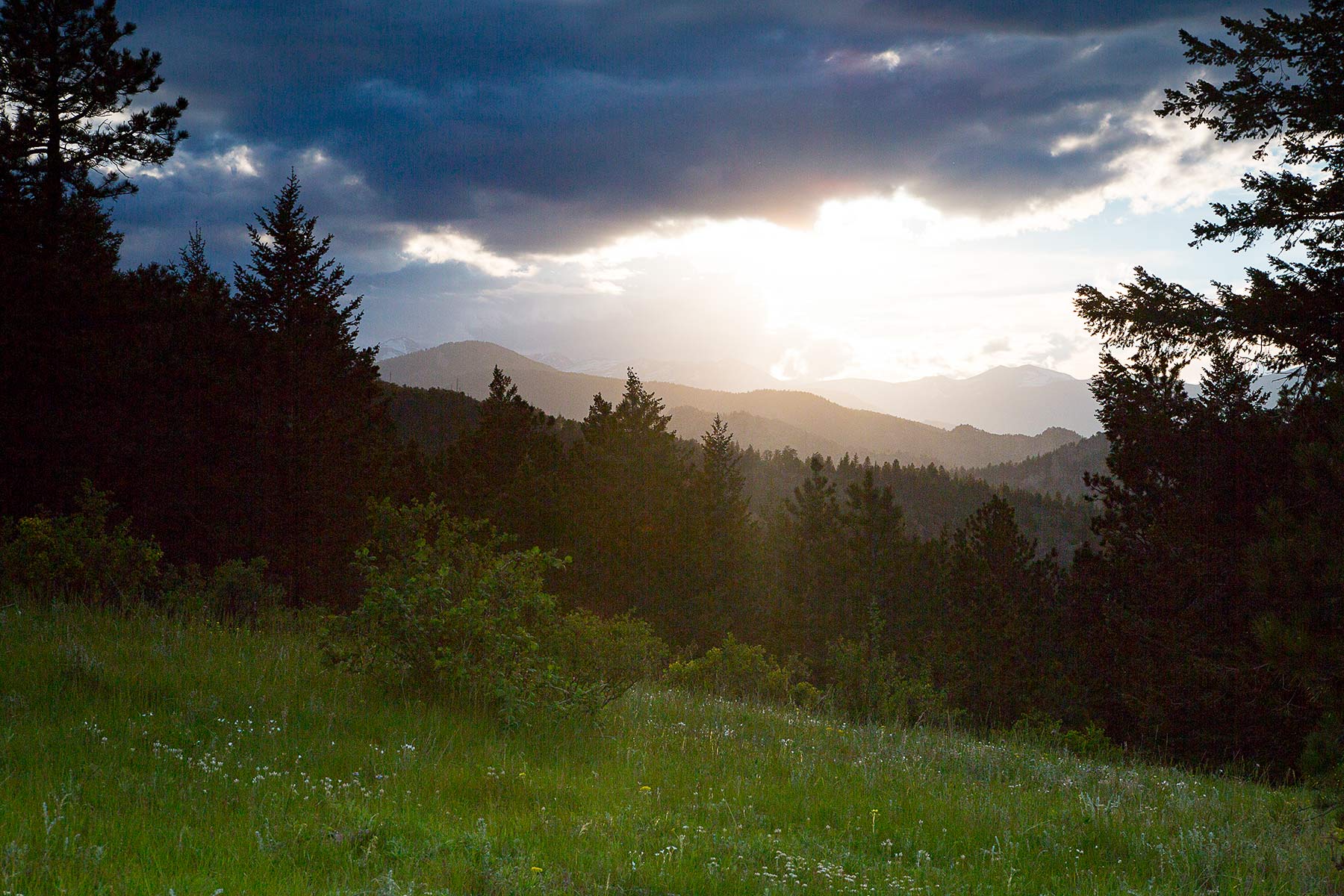 Saddle Notch Ranch - Sold - Colorado - Hall and Hall