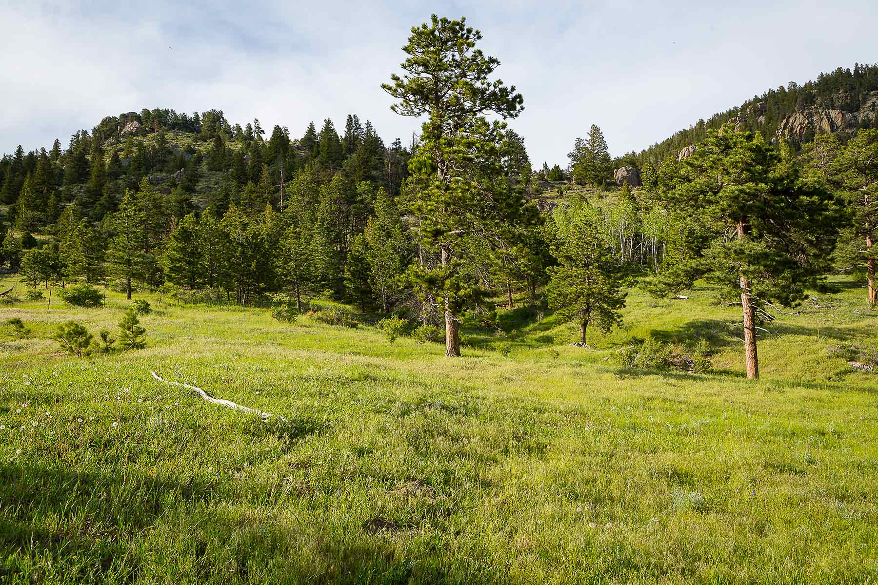 Saddle Notch Ranch - Sold - Colorado - Hall and Hall