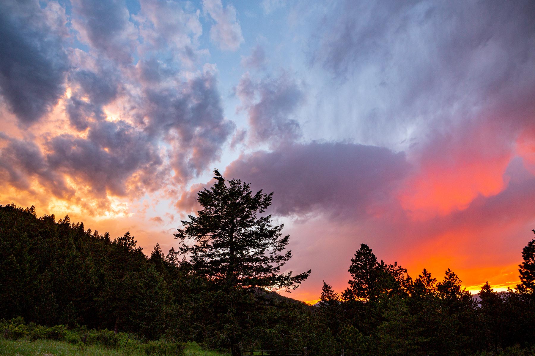 Saddle Notch Ranch - Sold - Colorado - Hall and Hall