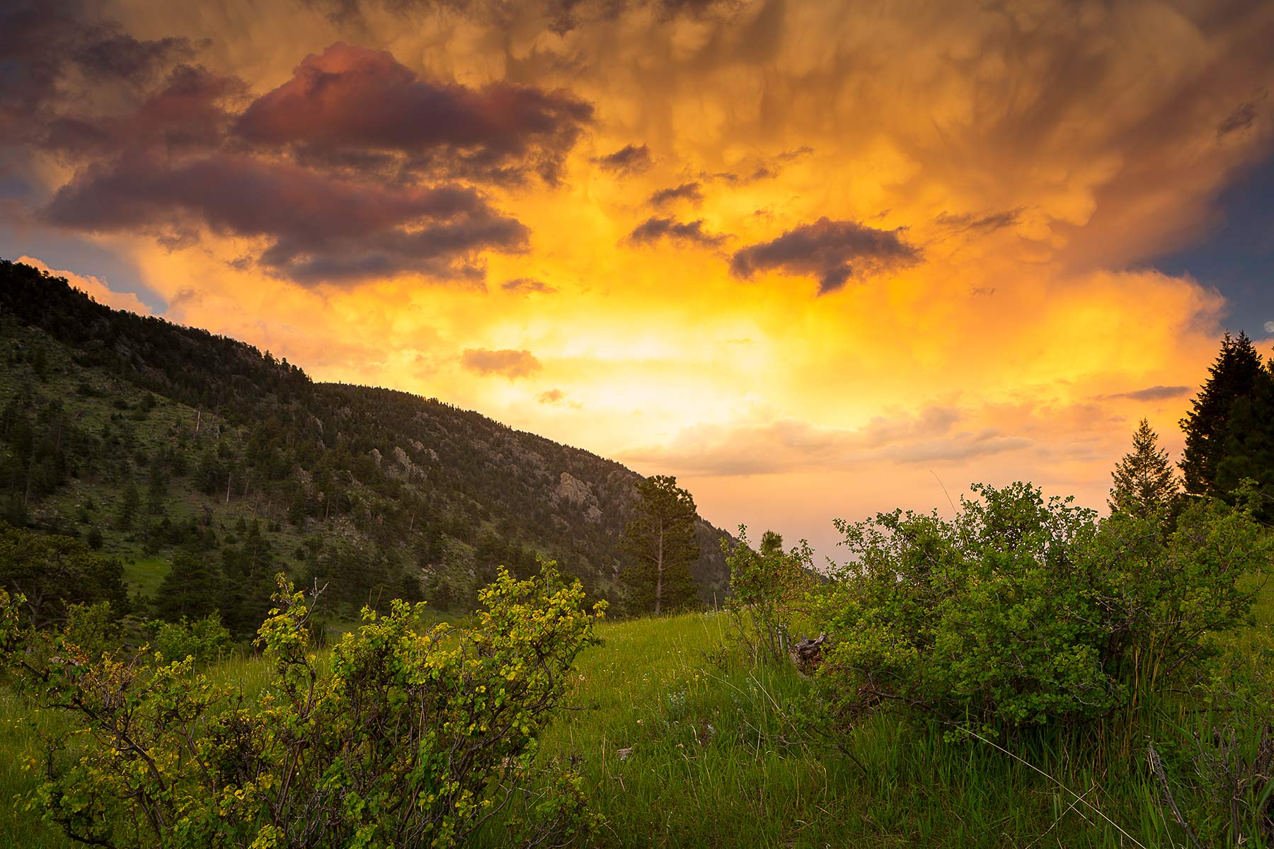Saddle Notch Ranch - Sold - Colorado - Hall and Hall