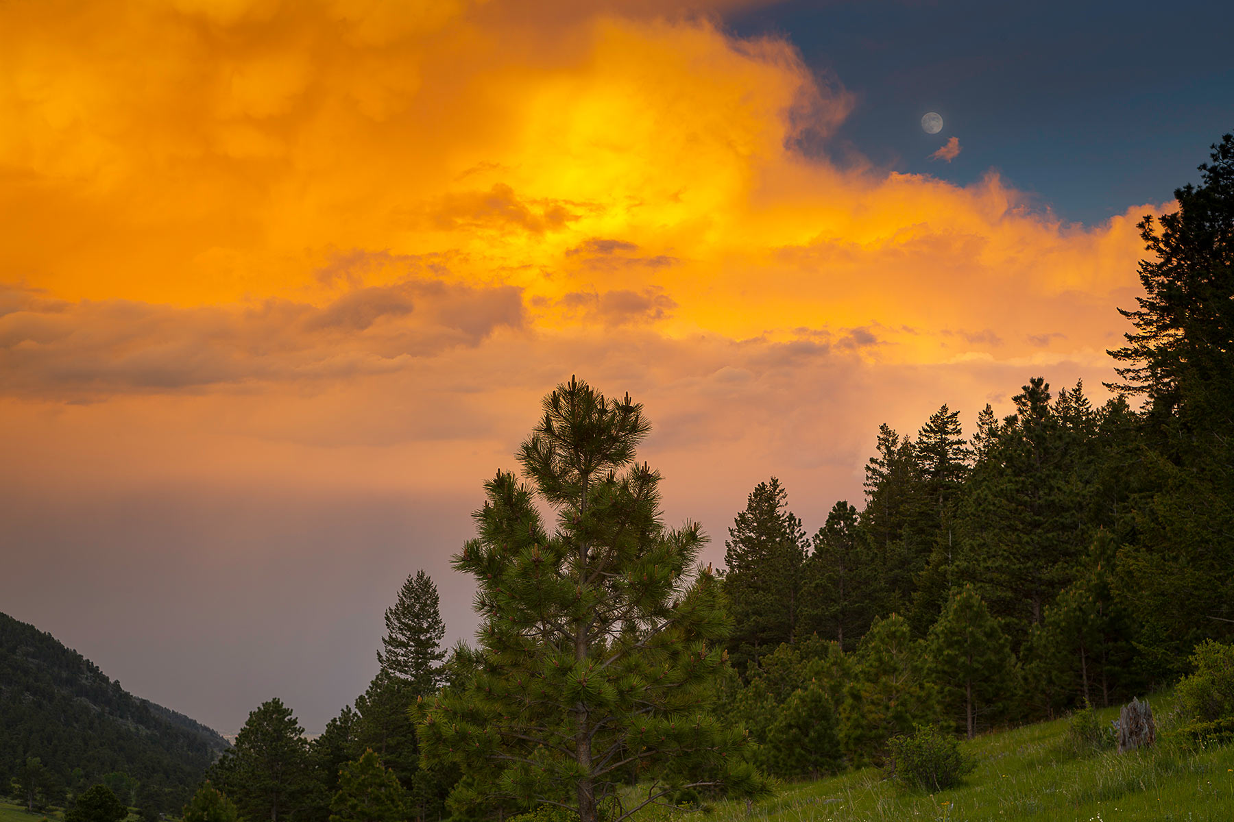 Saddle Notch Ranch - Sold - Colorado - Hall and Hall
