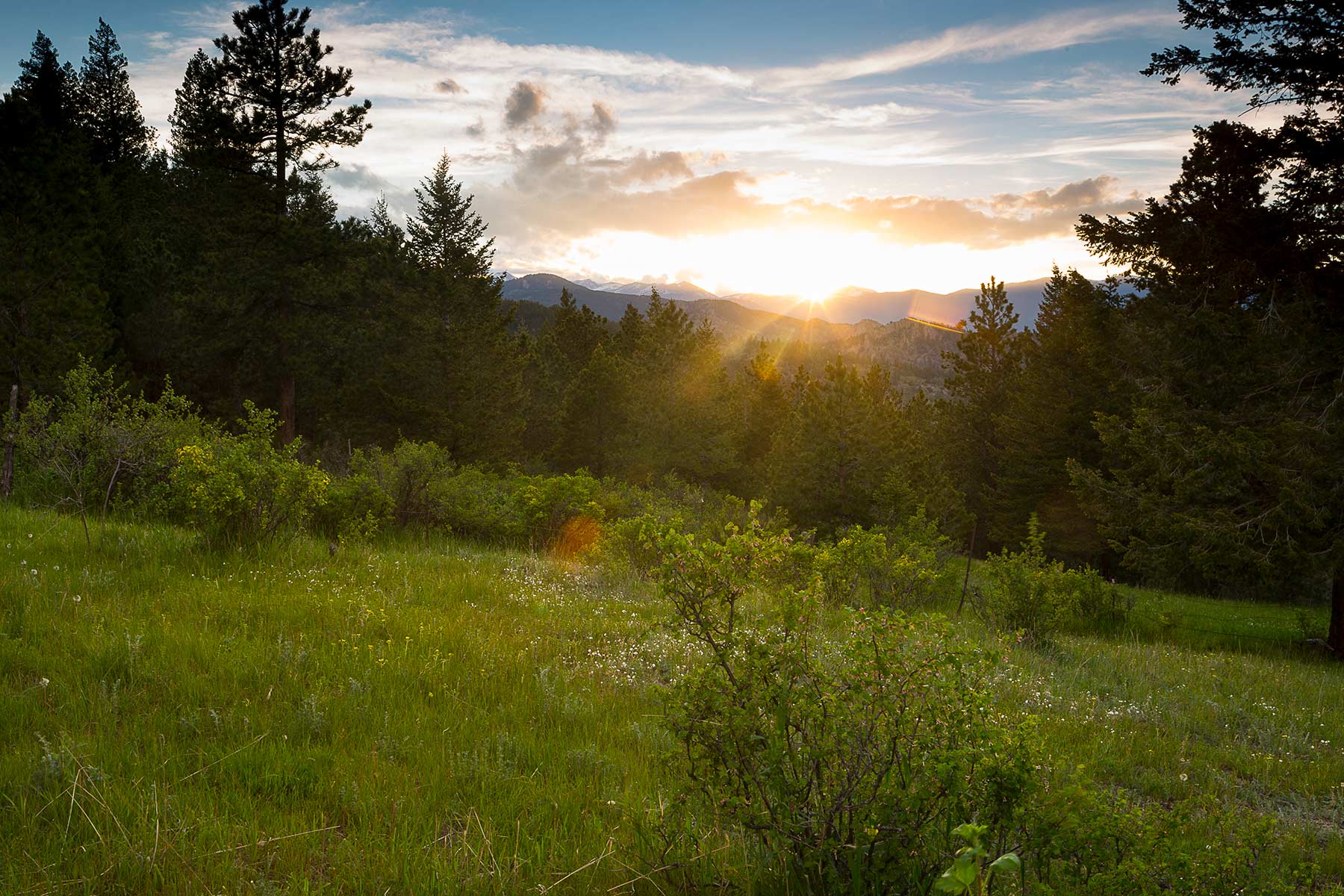 Saddle Notch Ranch - Sold - Colorado - Hall and Hall