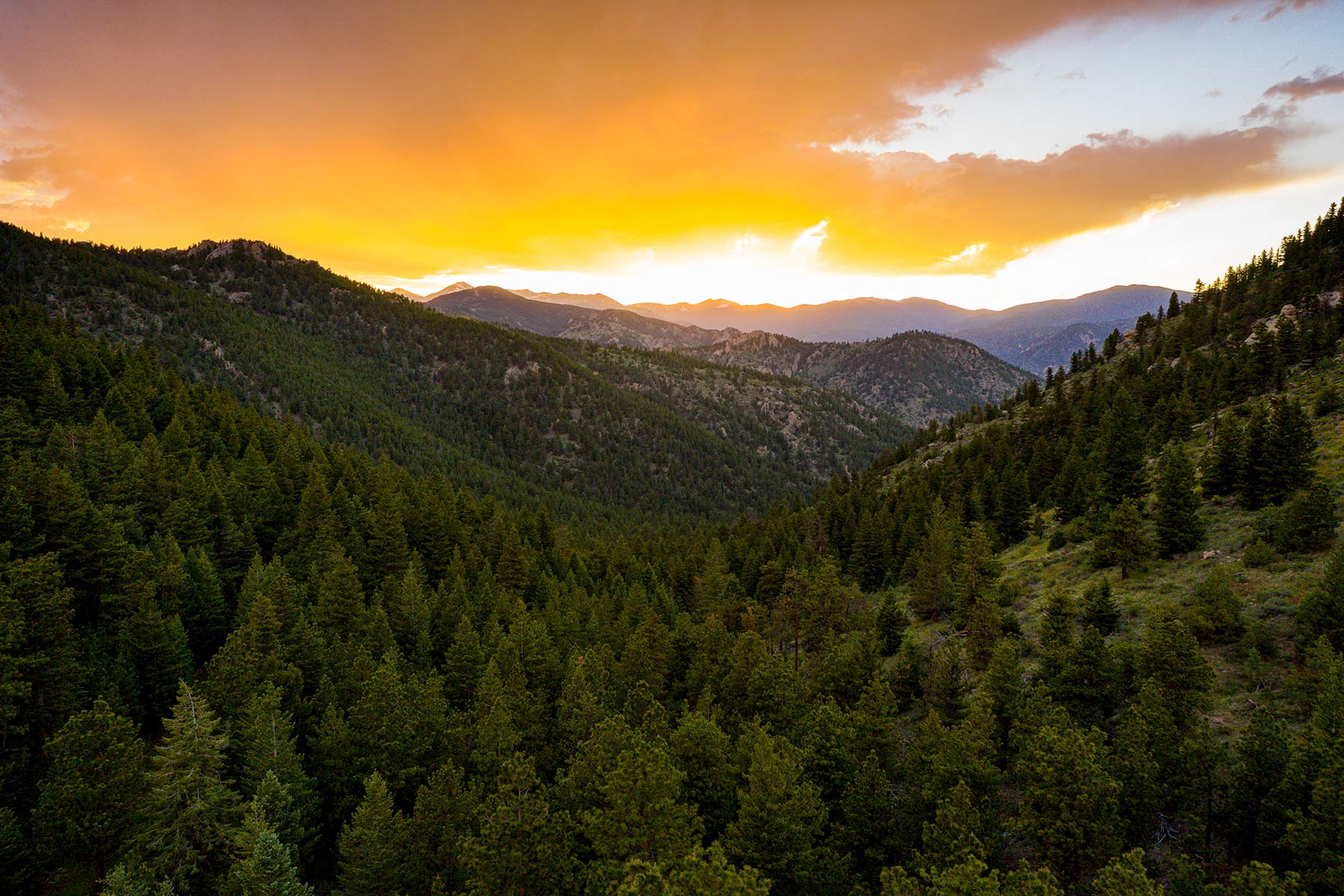 Saddle Notch Ranch - Sold - Colorado - Hall and Hall