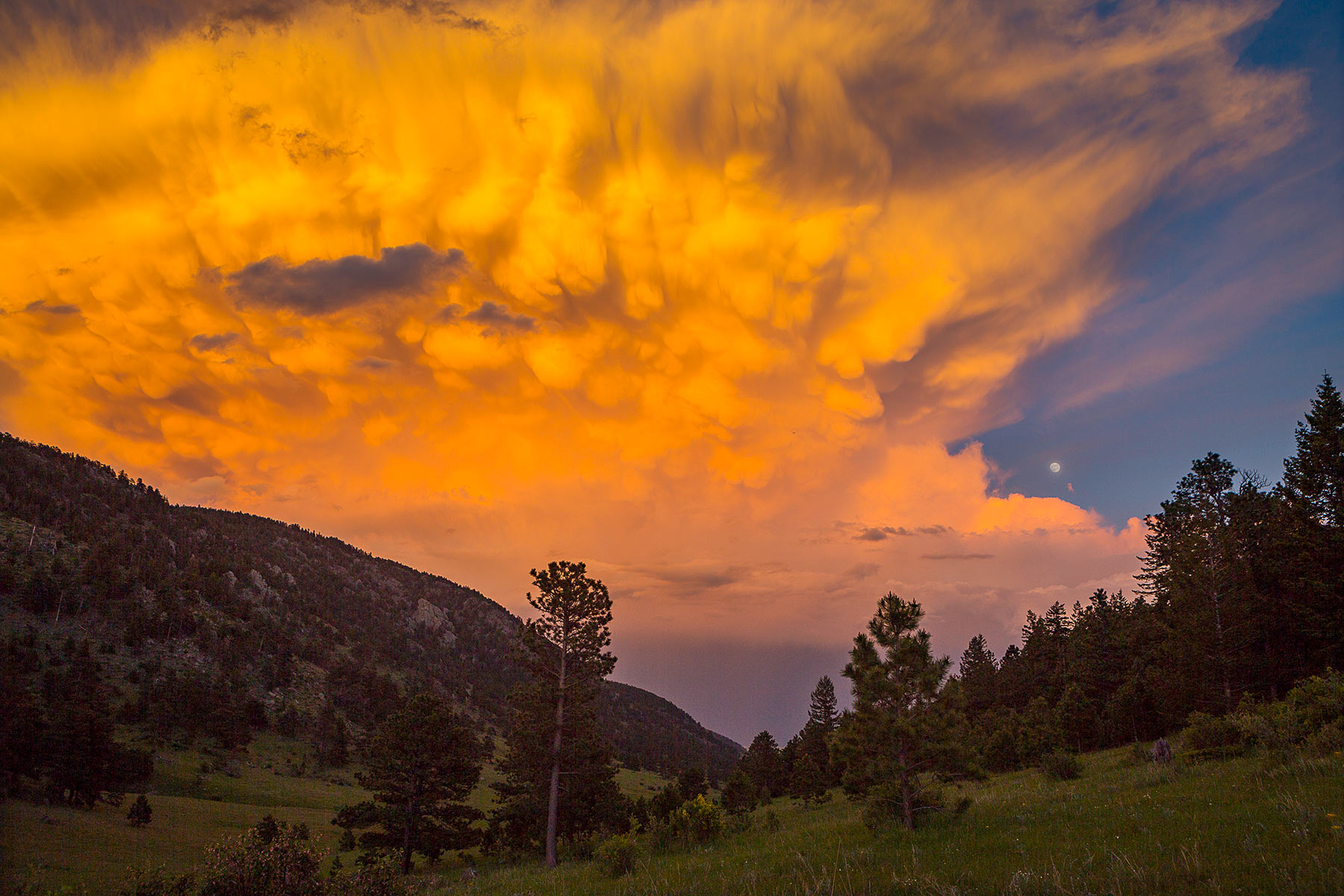 Saddle Notch Ranch - Sold - Colorado - Hall and Hall