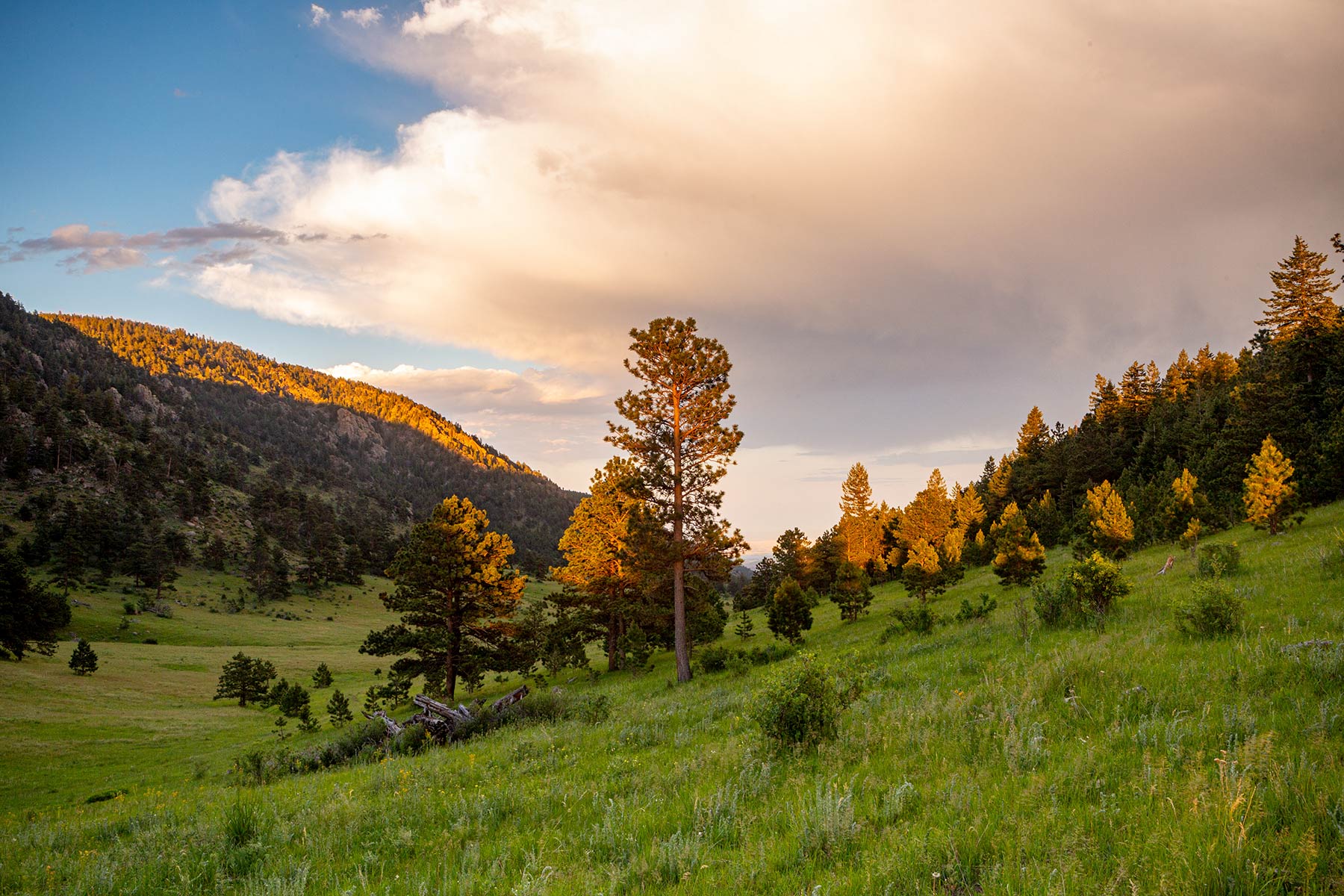 Saddle Notch Ranch - Sold - Colorado - Hall and Hall