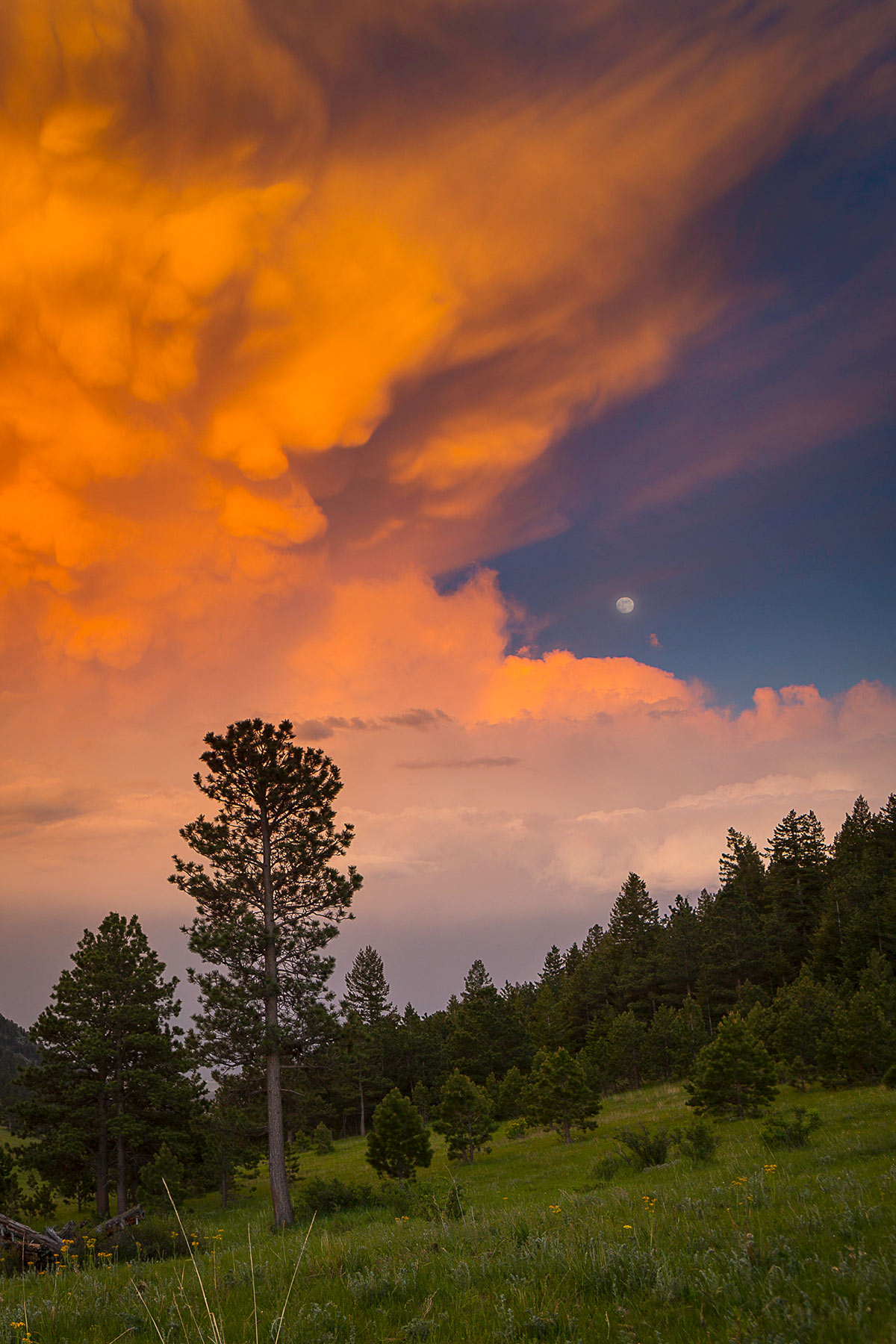 Saddle Notch Ranch - Sold - Colorado - Hall and Hall
