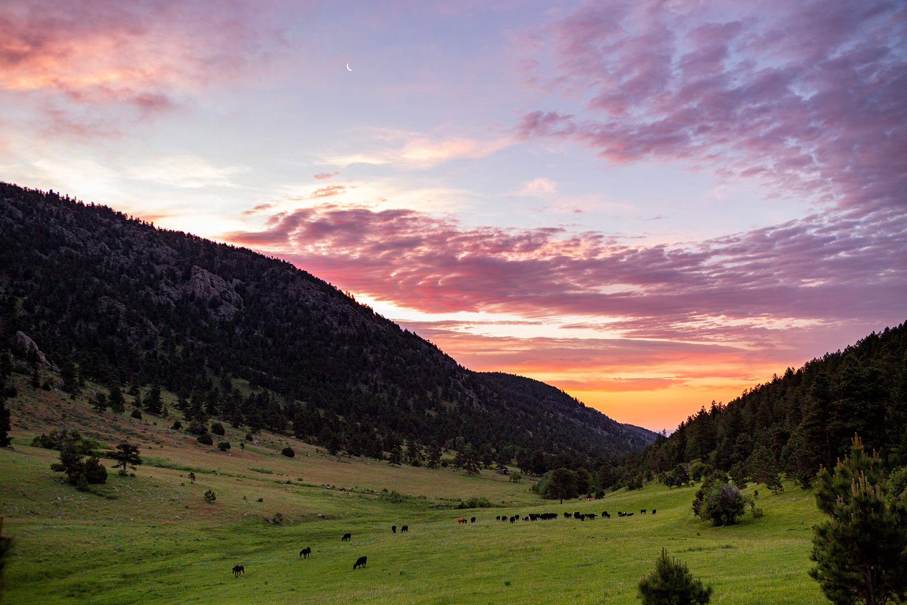 Saddle Notch Ranch - Sold - Colorado - Hall and Hall