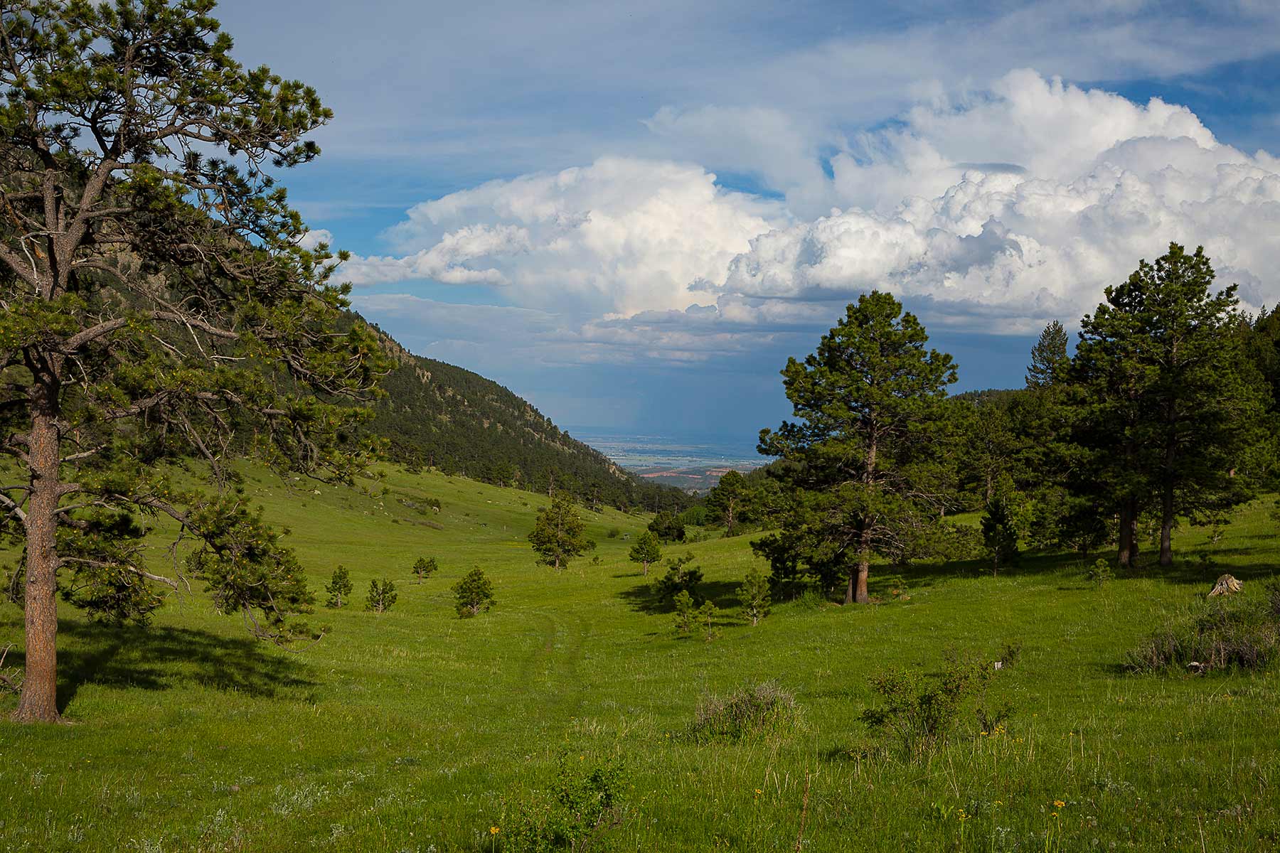 Saddle Notch Ranch - Sold - Colorado - Hall and Hall