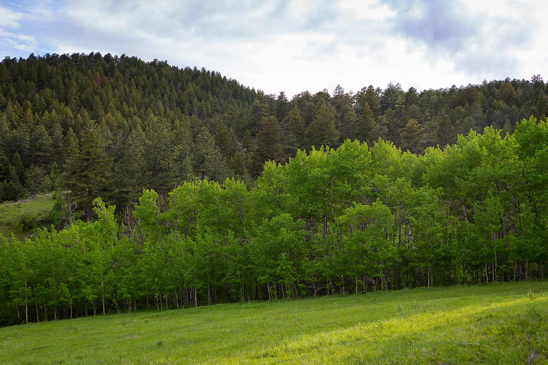Saddle Notch Ranch - Sold - Colorado - Hall and Hall