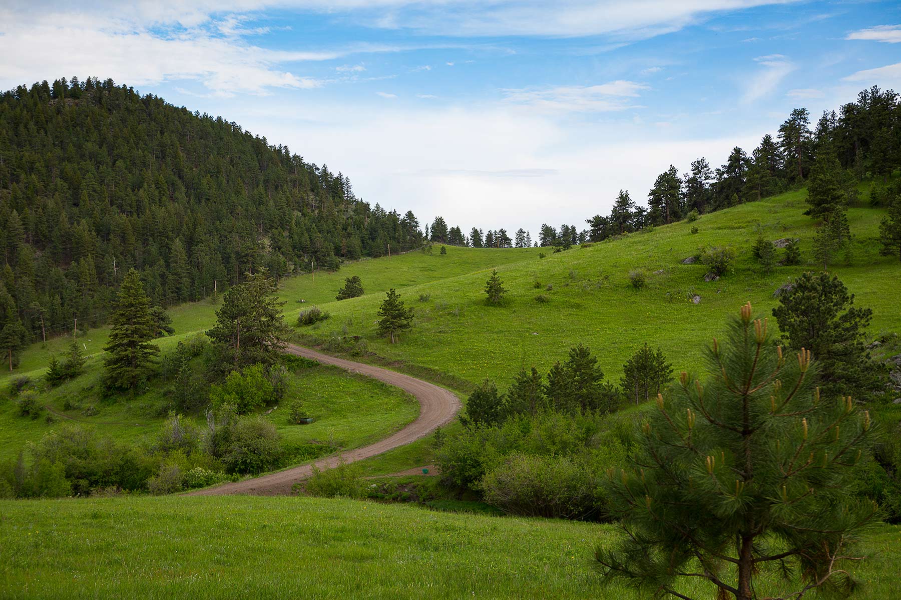 Saddle Notch Ranch - Sold - Colorado - Hall and Hall