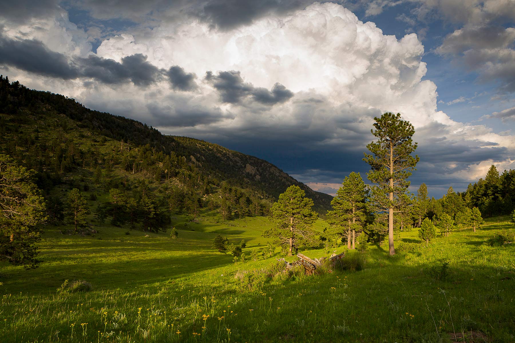 Saddle Notch Ranch - Sold - Colorado - Hall and Hall