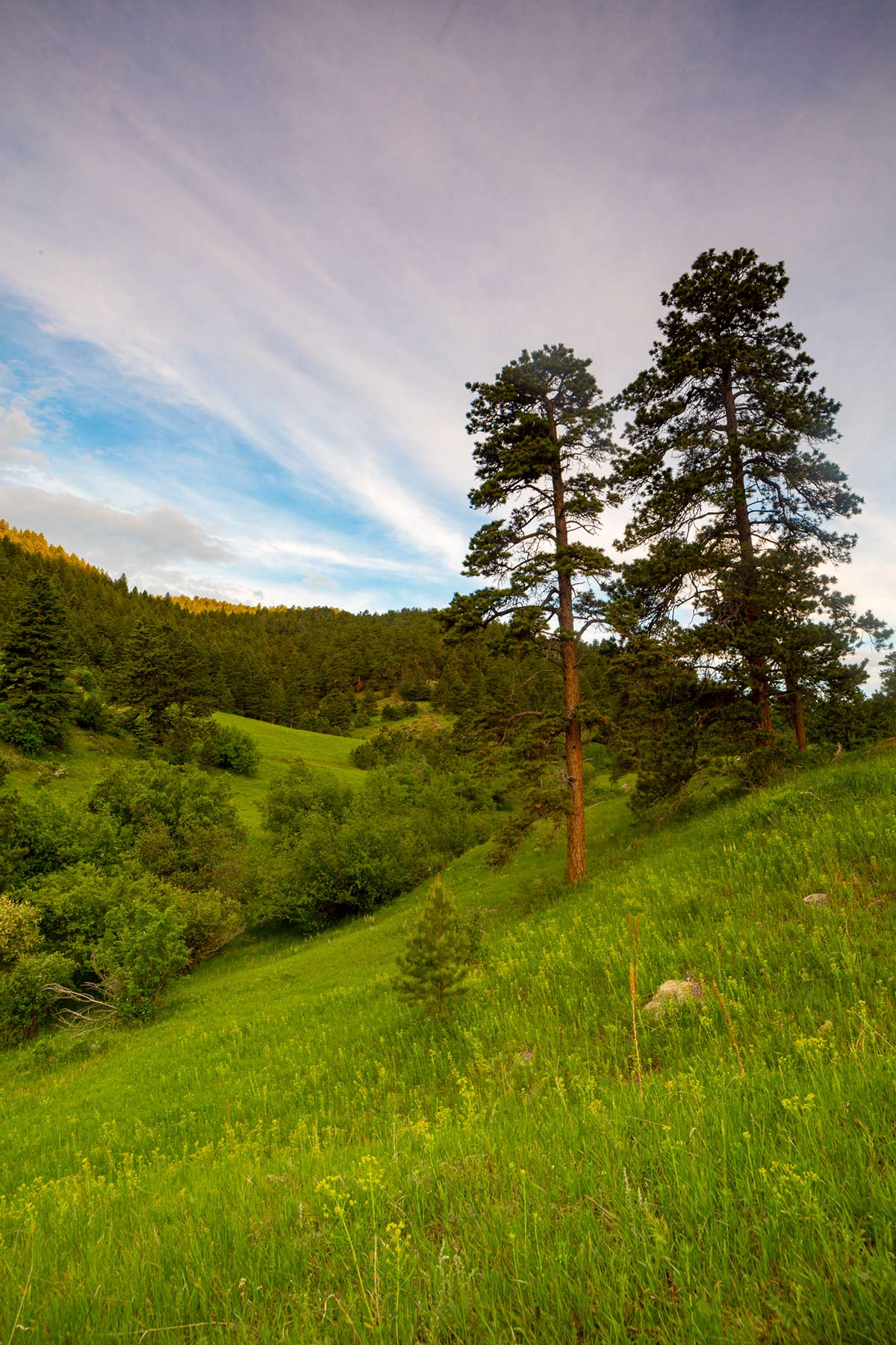 Saddle Notch Ranch - Sold - Colorado - Hall and Hall