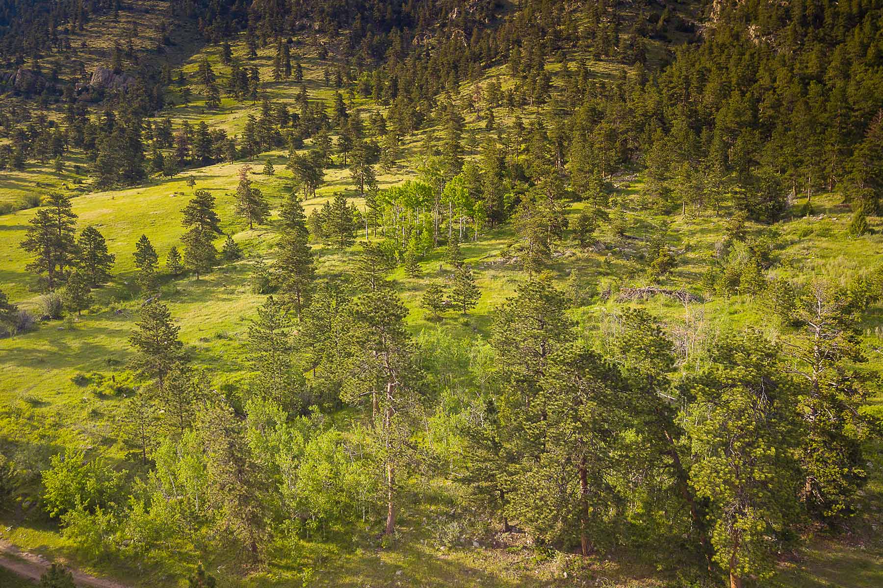 Saddle Notch Ranch - Sold - Colorado - Hall and Hall