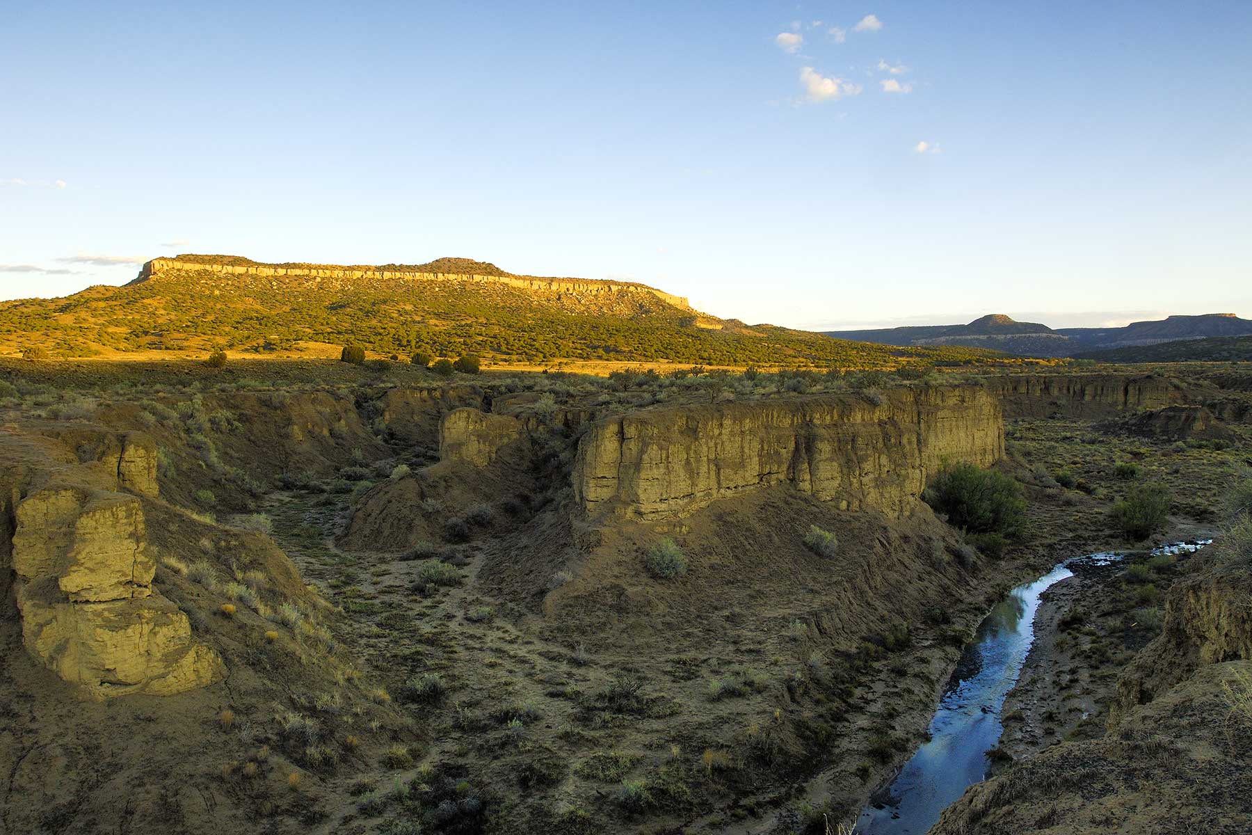 Lobo Ranch - Sold - New Mexico - Hall and Hall