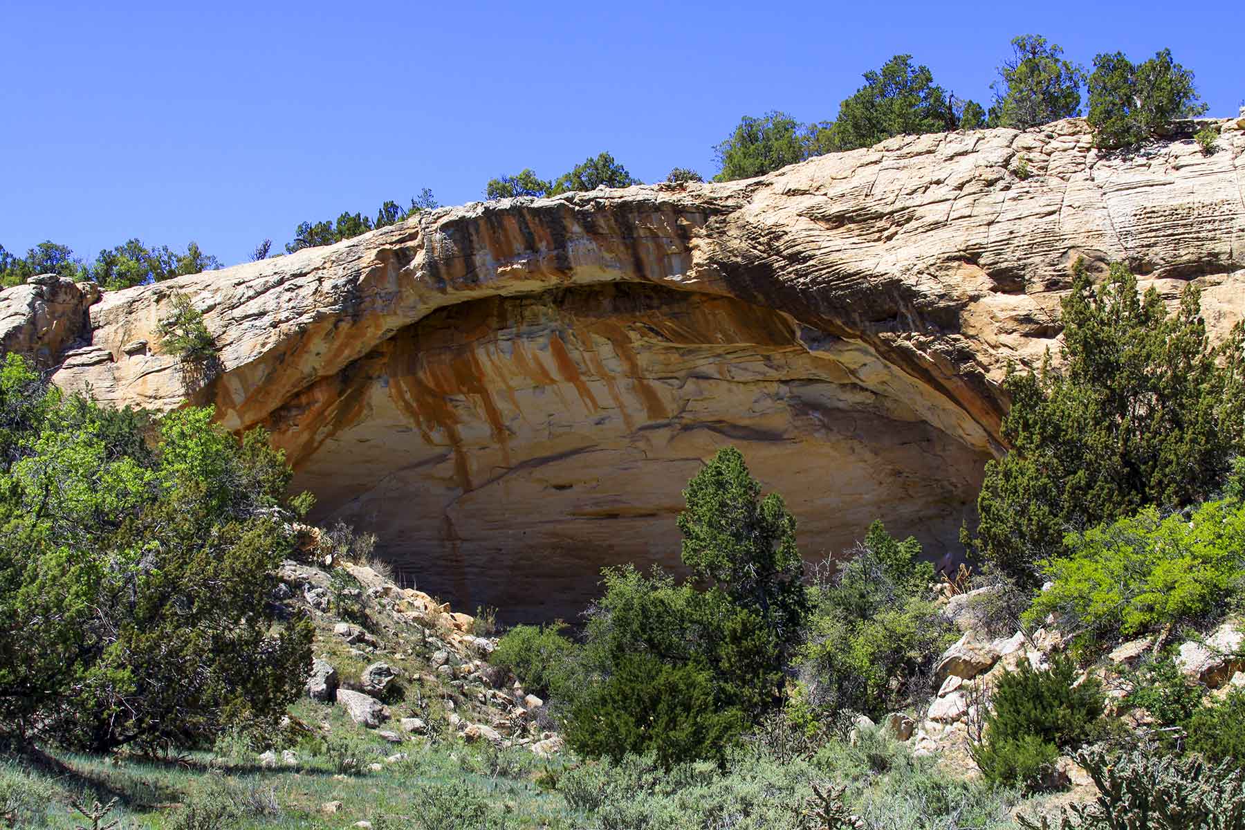 Lobo Ranch - Sold - New Mexico - Hall and Hall