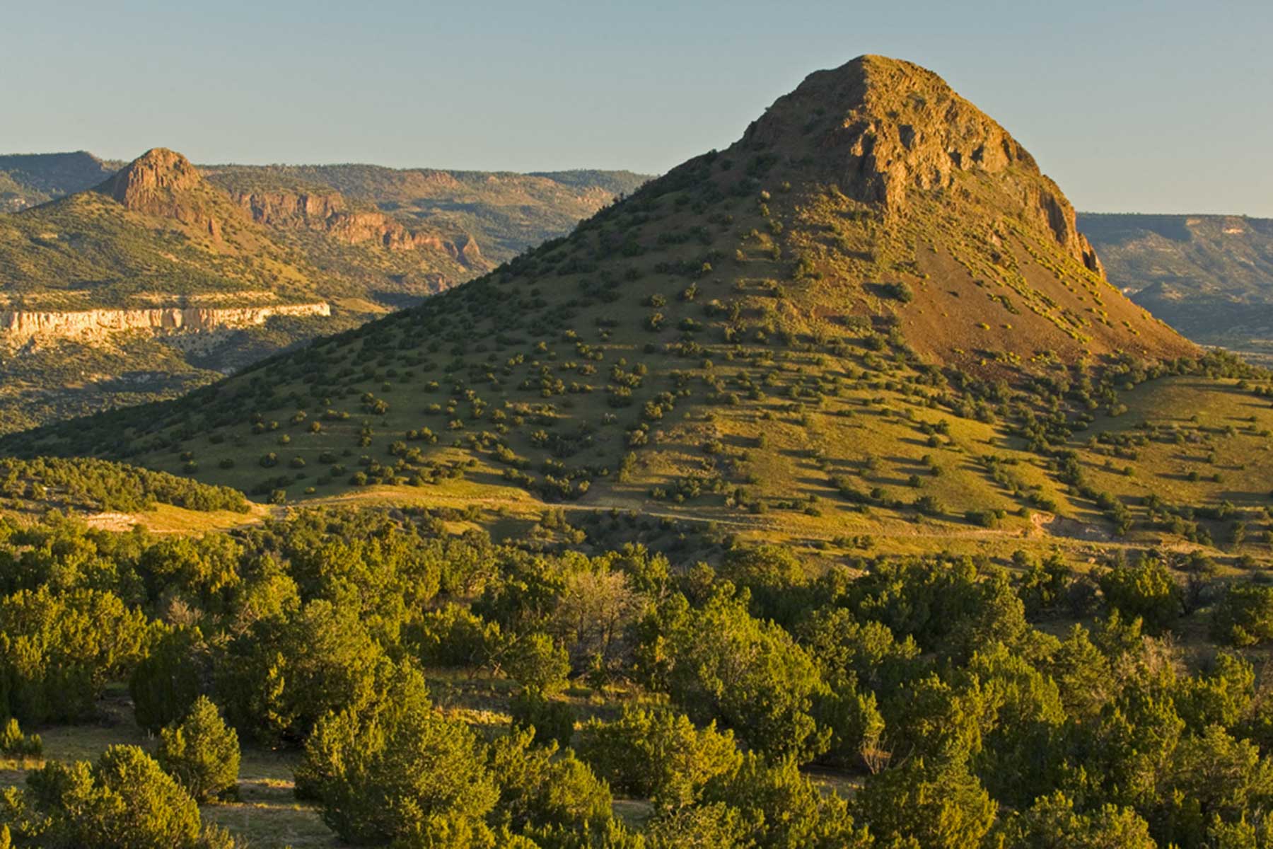 Lobo Ranch - Sold - New Mexico - Hall and Hall