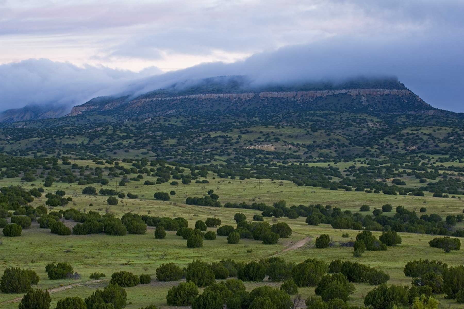 Lobo Ranch - Sold - New Mexico - Hall and Hall