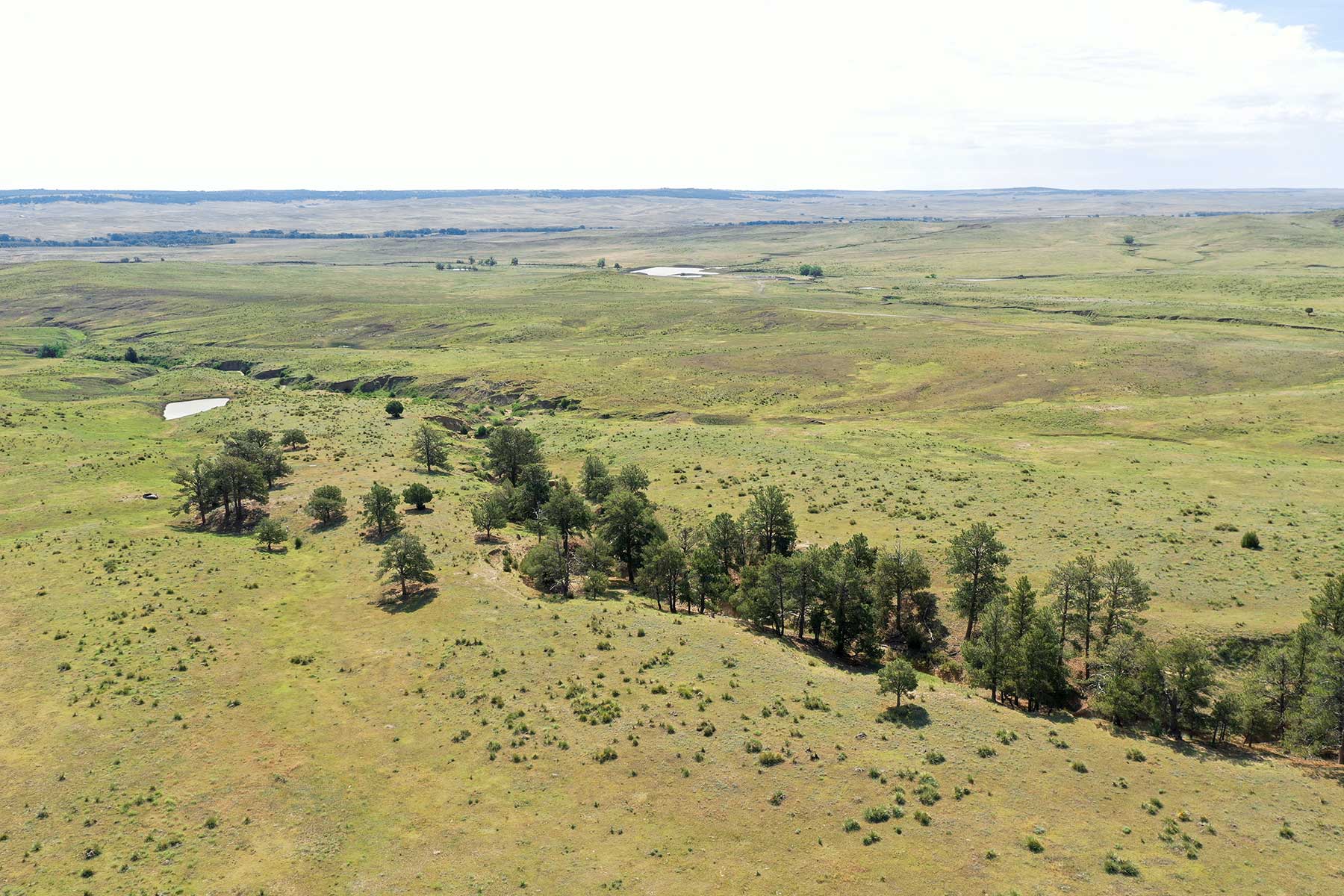 South Comanche Ranch - Hall and Hall