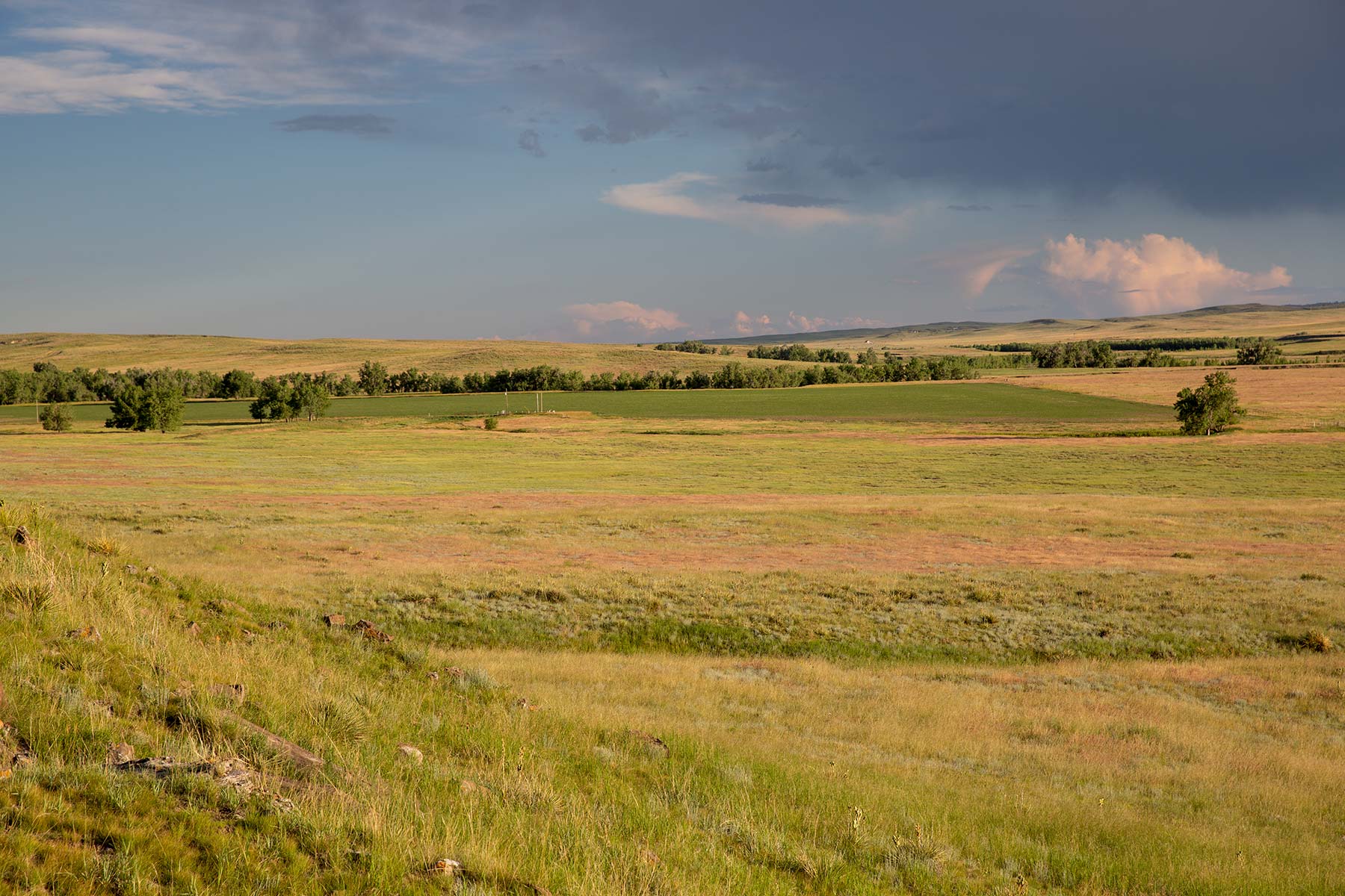 South Comanche Ranch - Sold - Colorado - Hall and Hall