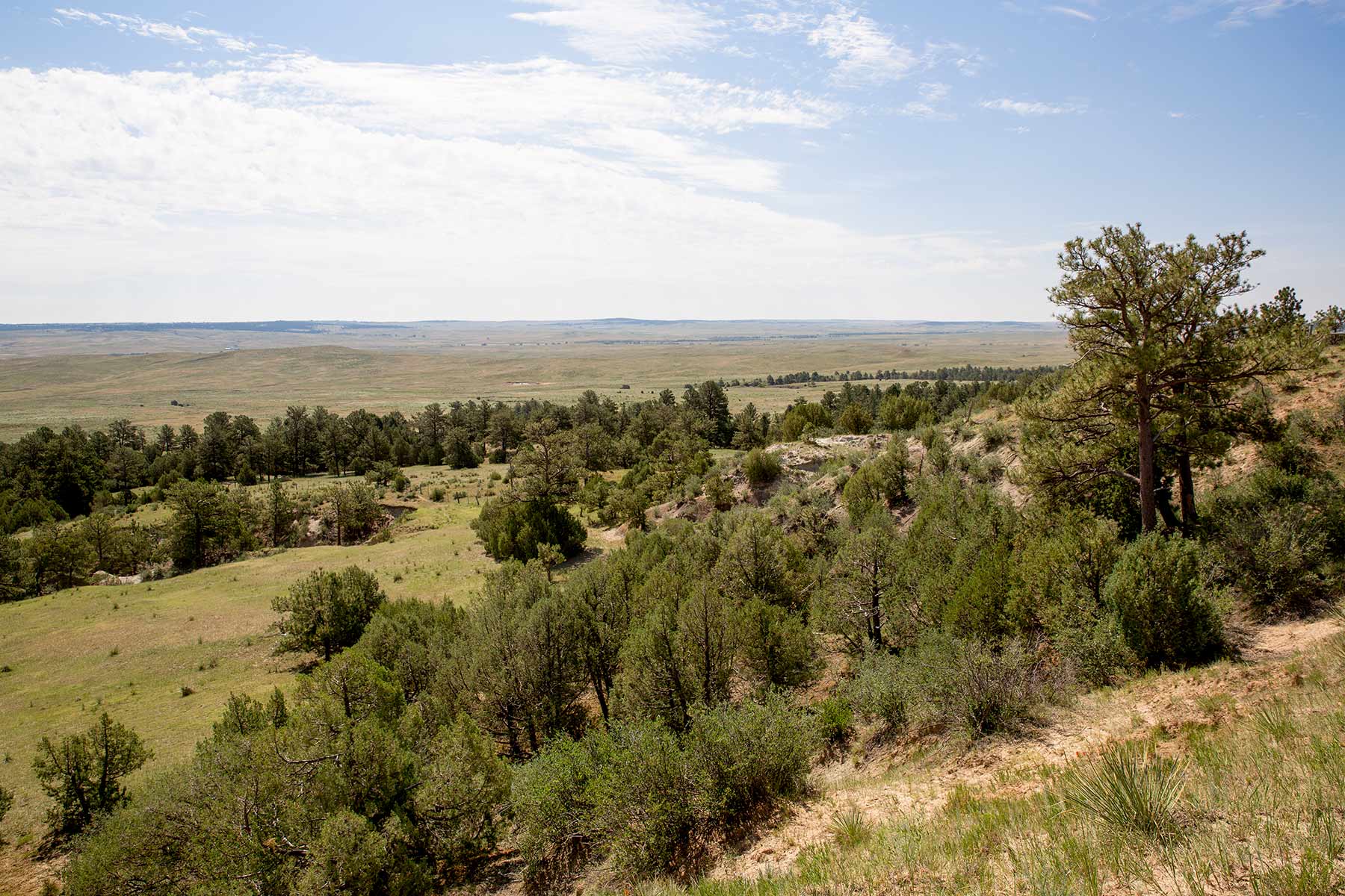South Comanche Ranch - Hall and Hall