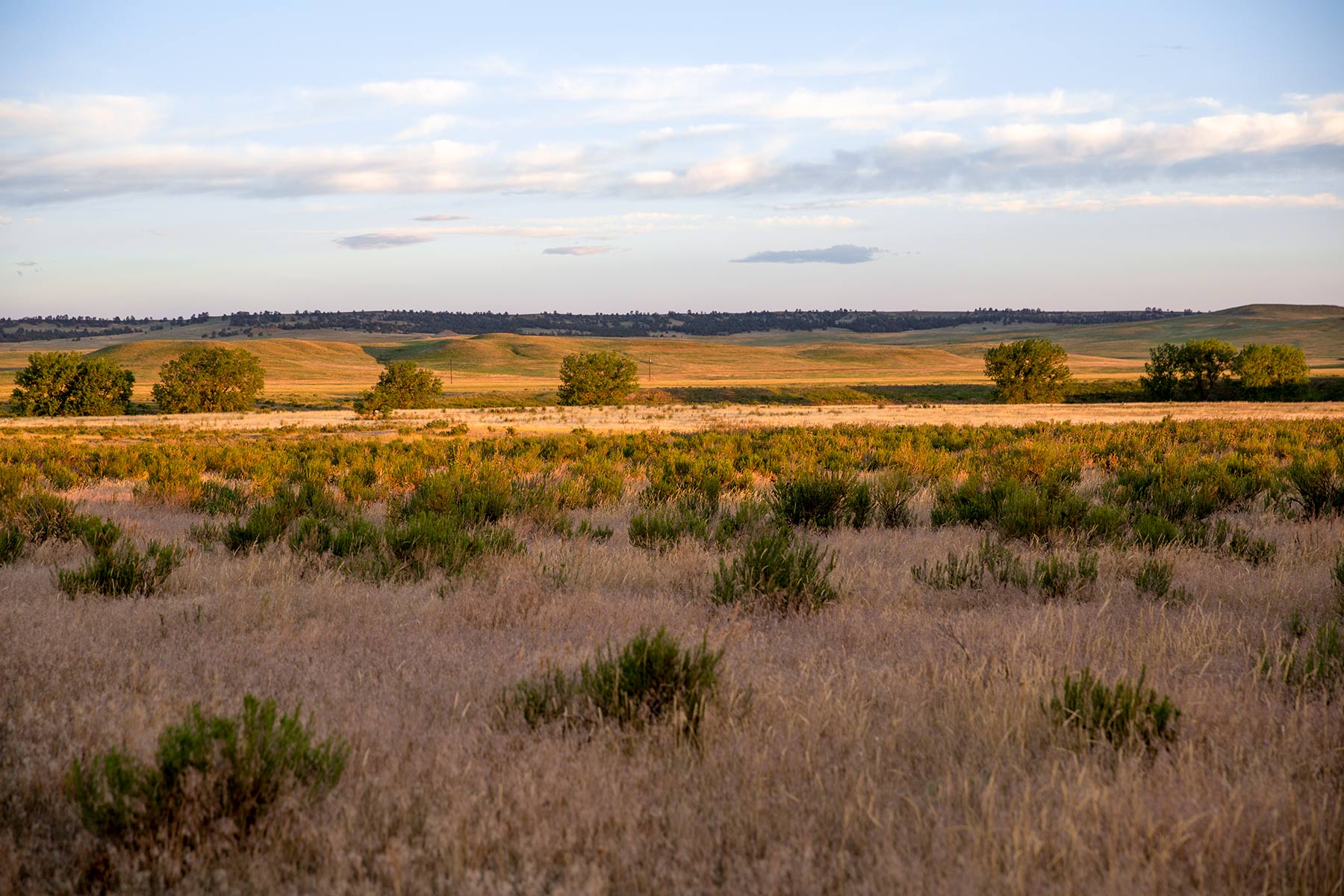 South Comanche Ranch - Hall and Hall