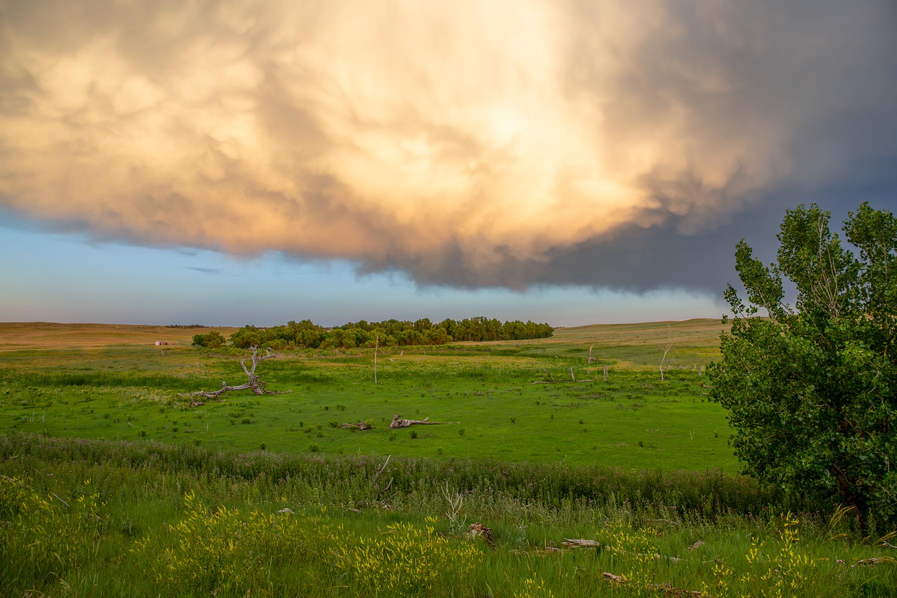 South Comanche Ranch - Hall and Hall