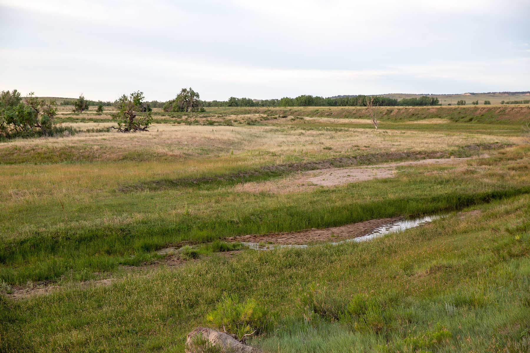 South Comanche Ranch - Hall and Hall