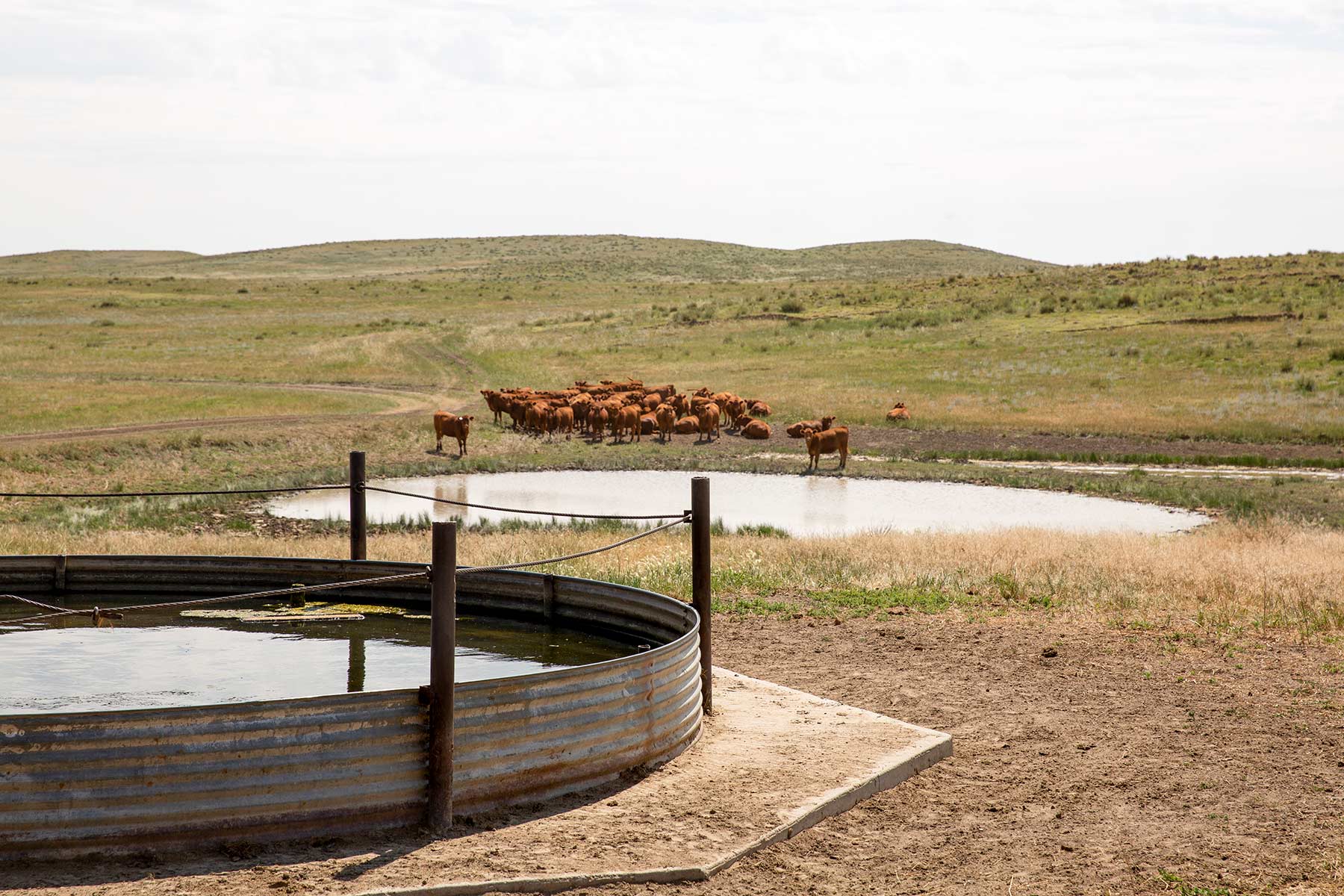 South Comanche Ranch - Hall and Hall