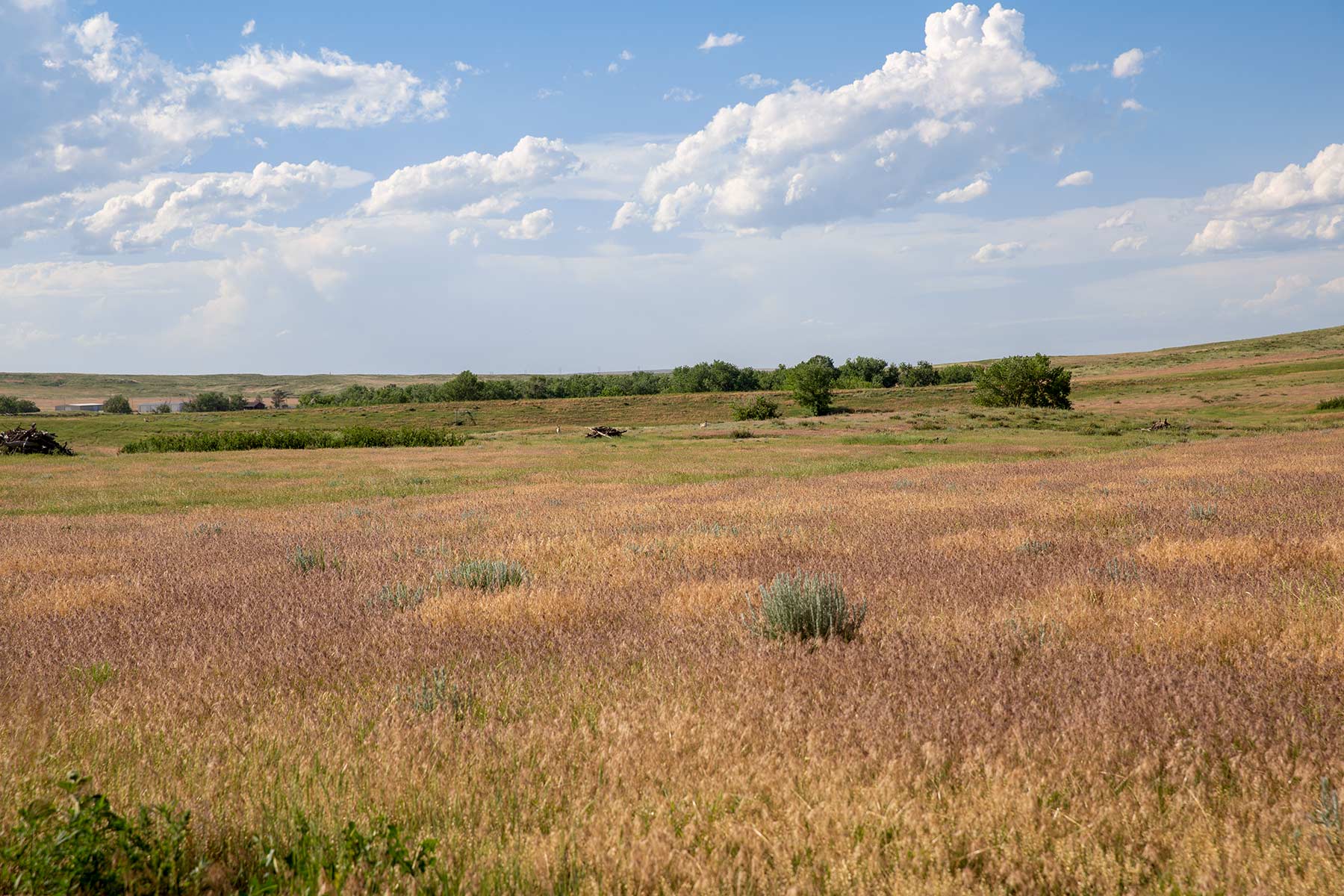 South Comanche Ranch - Sold - Colorado - Hall and Hall