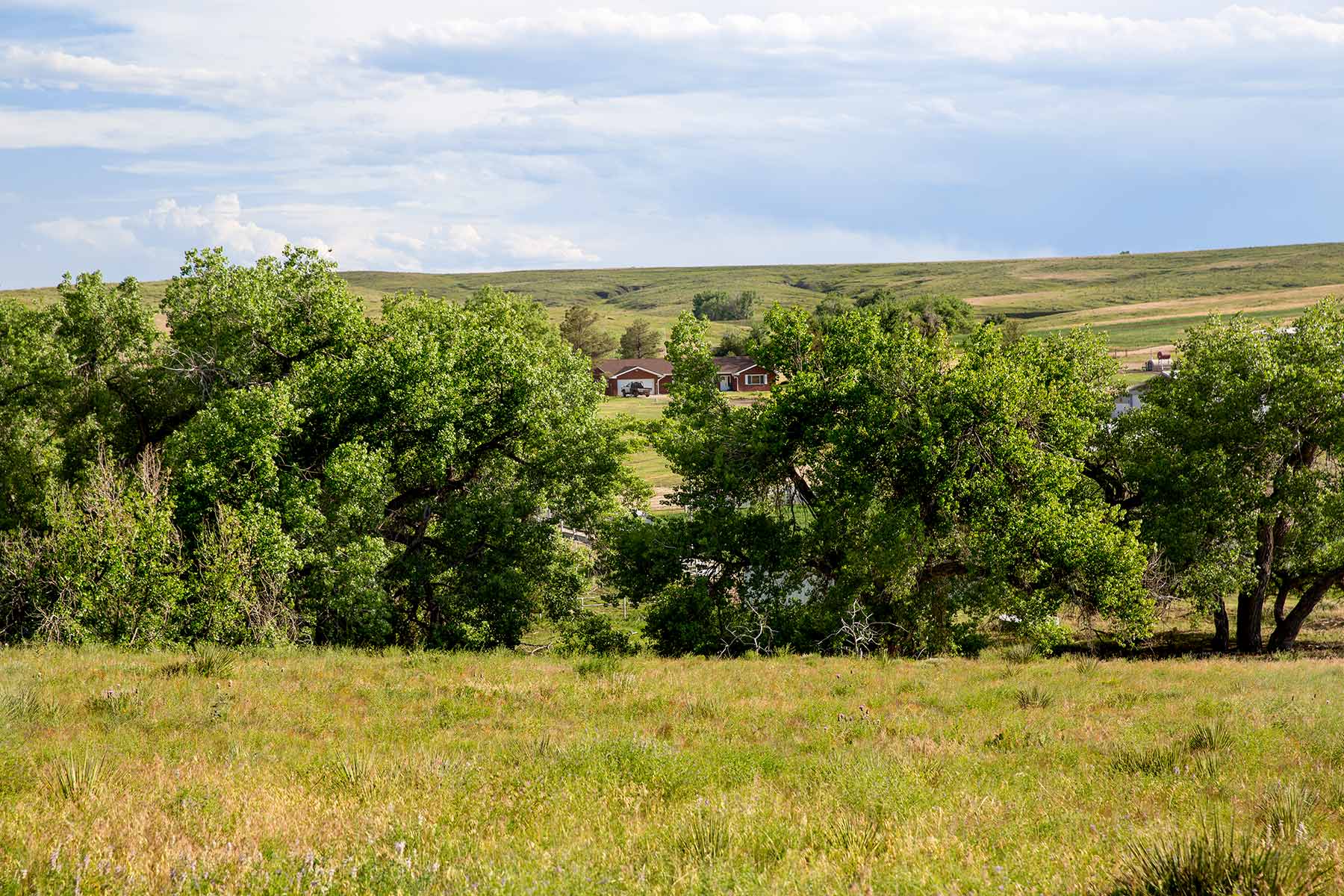 South Comanche Ranch - Sold - Colorado - Hall and Hall