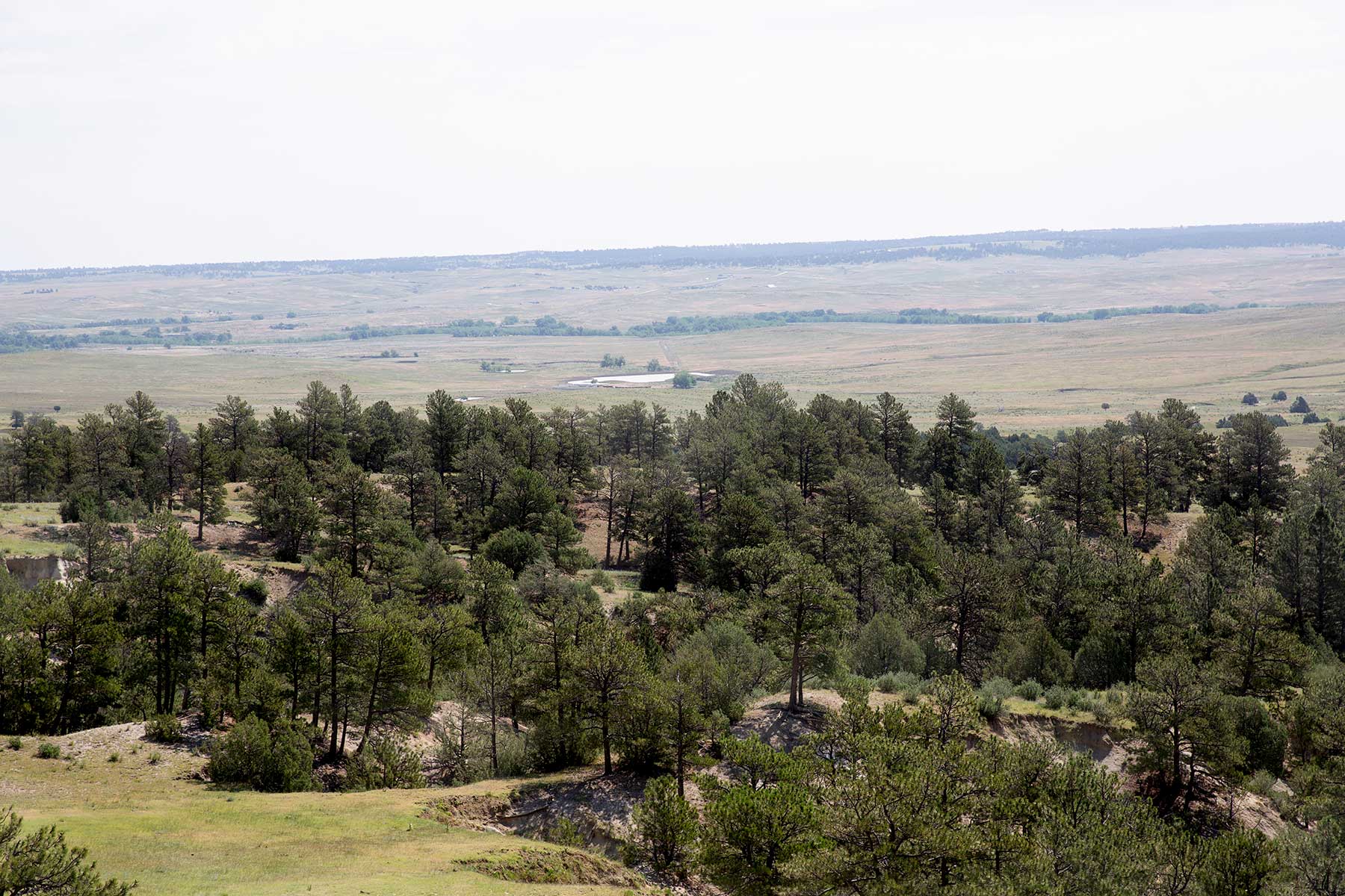South Comanche Ranch - Hall and Hall