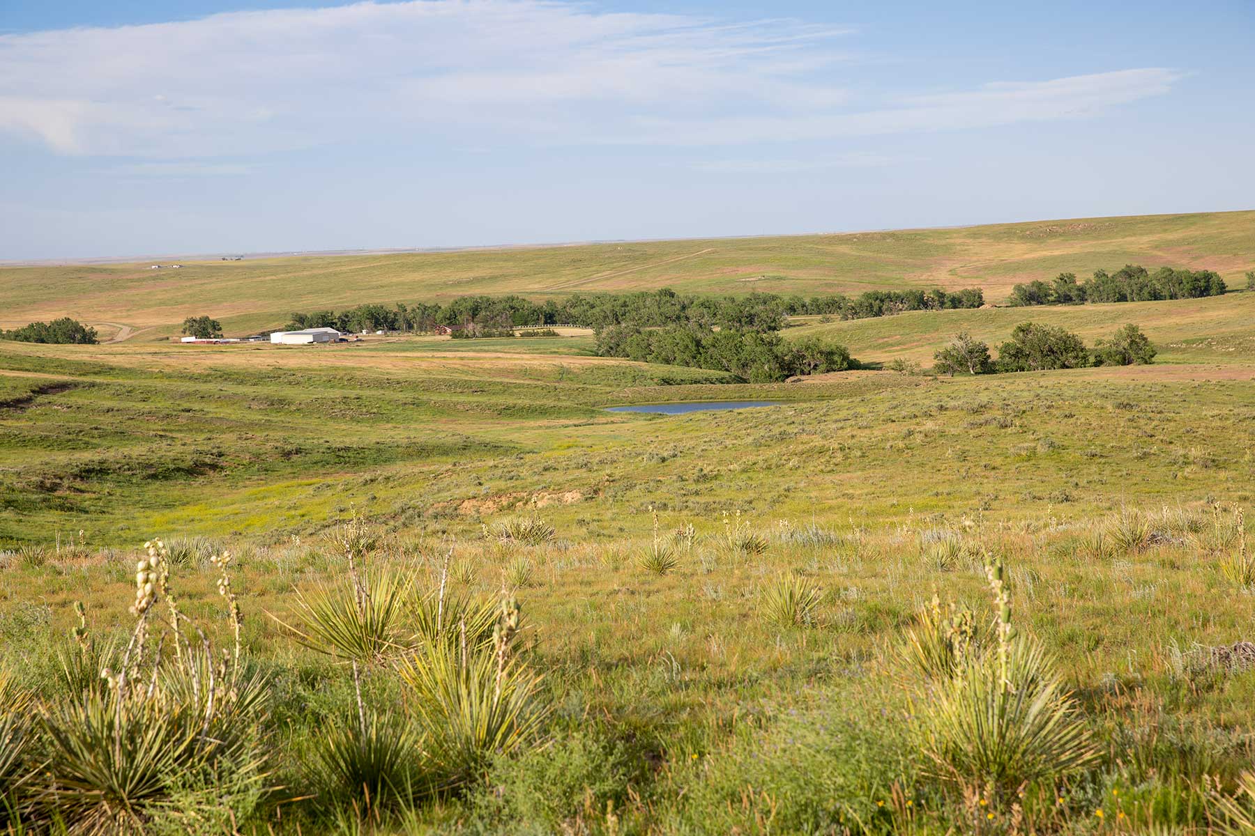 South Comanche Ranch - Sold - Colorado - Hall and Hall