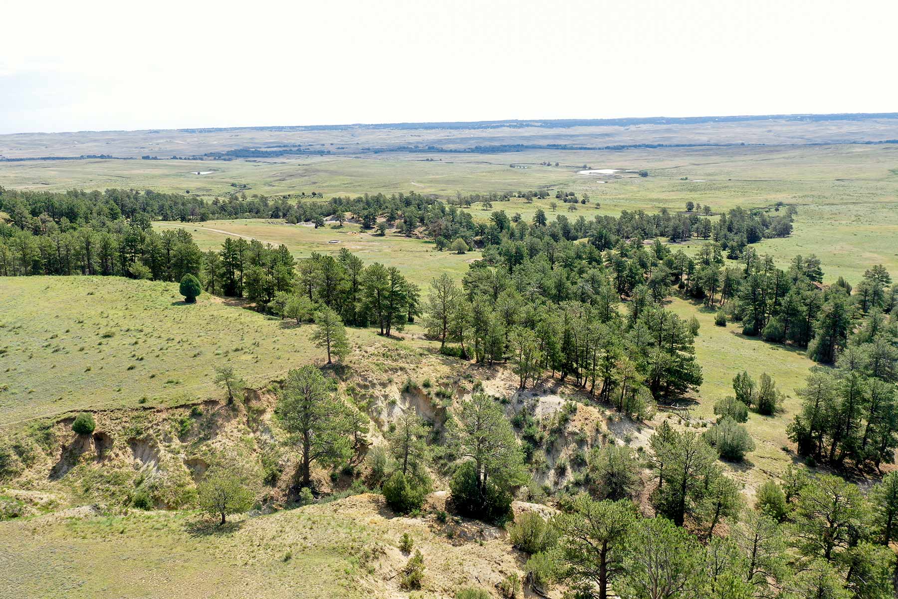 South Comanche Ranch - Hall and Hall