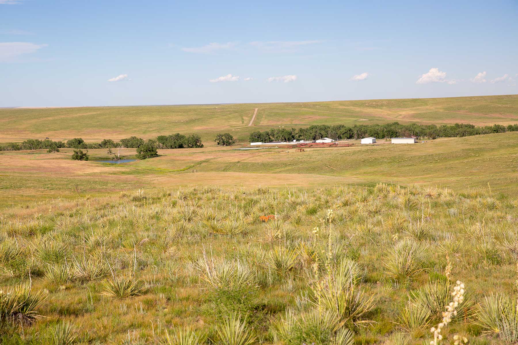South Comanche Ranch - Sold - Colorado - Hall and Hall