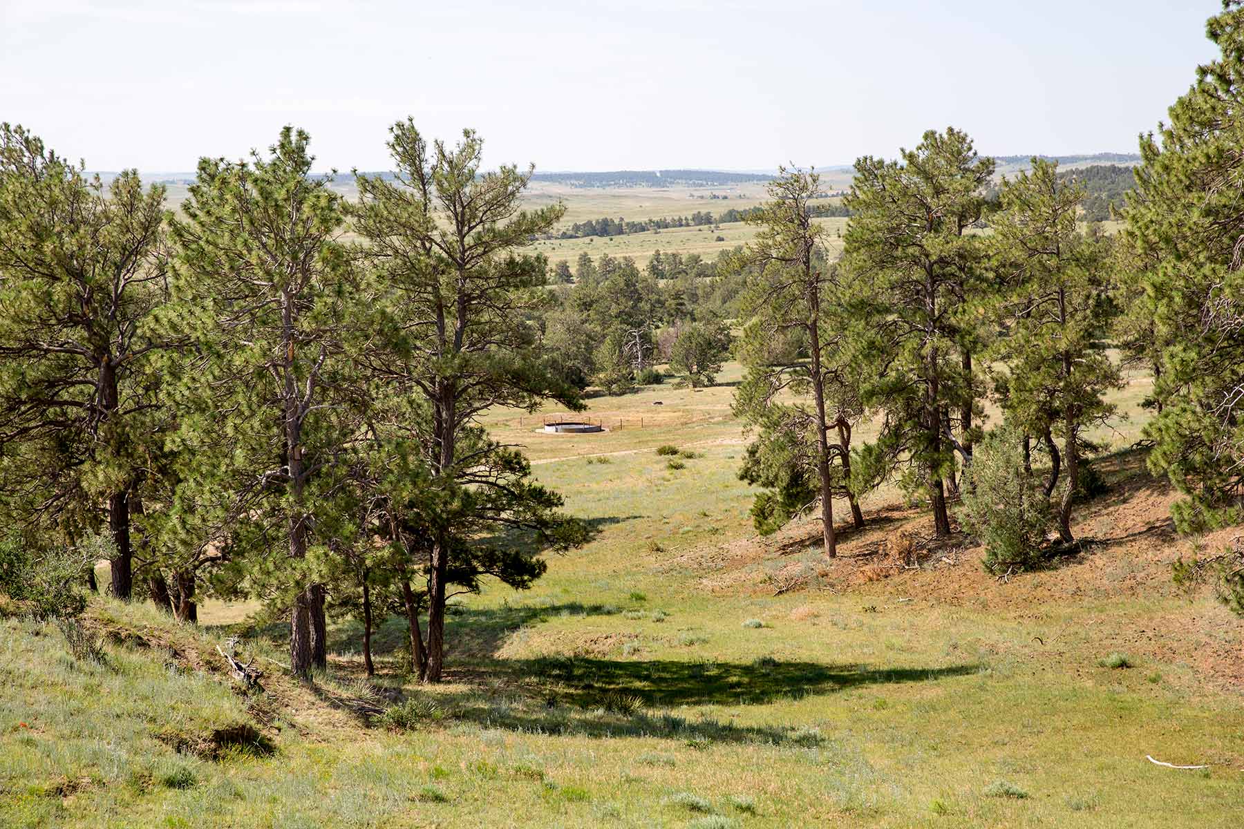 South Comanche Ranch - Hall and Hall