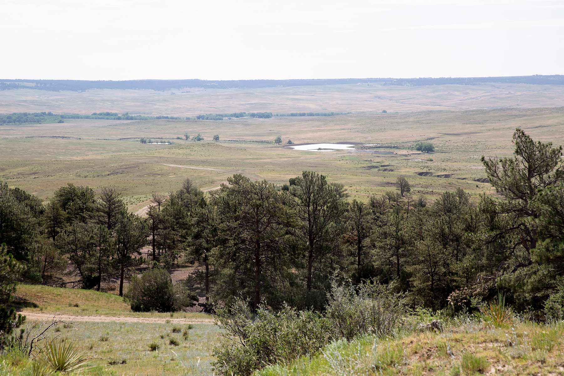 South Comanche Ranch - Hall and Hall