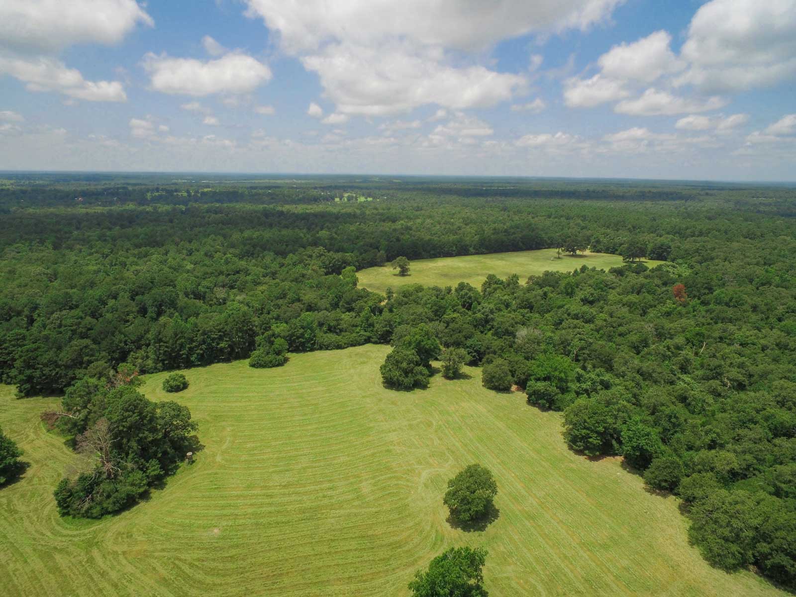 Spring Branch Ranch - Sold - Texas - Hall and Hall