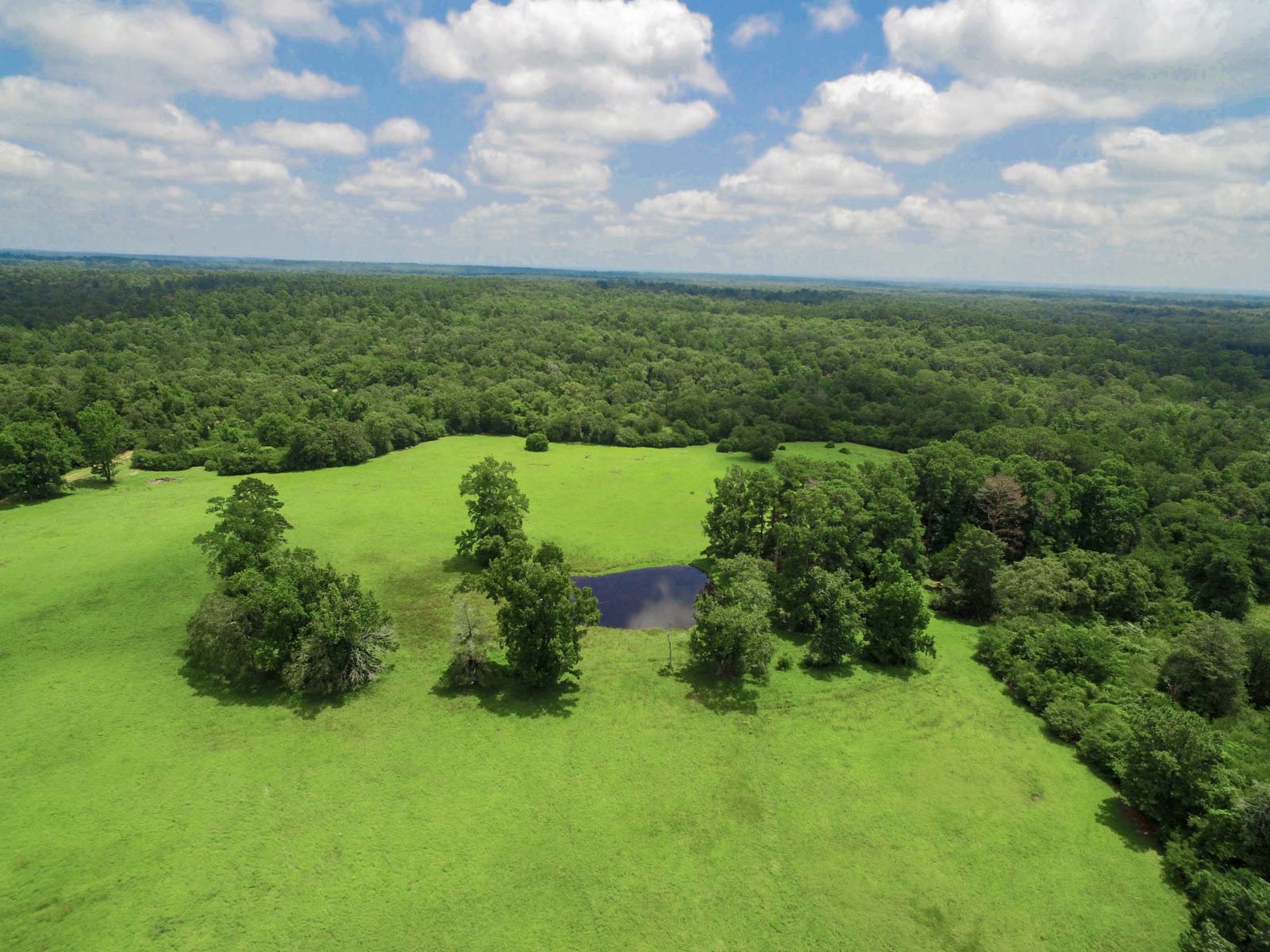 Spring Branch Ranch - Sold - Texas - Hall and Hall
