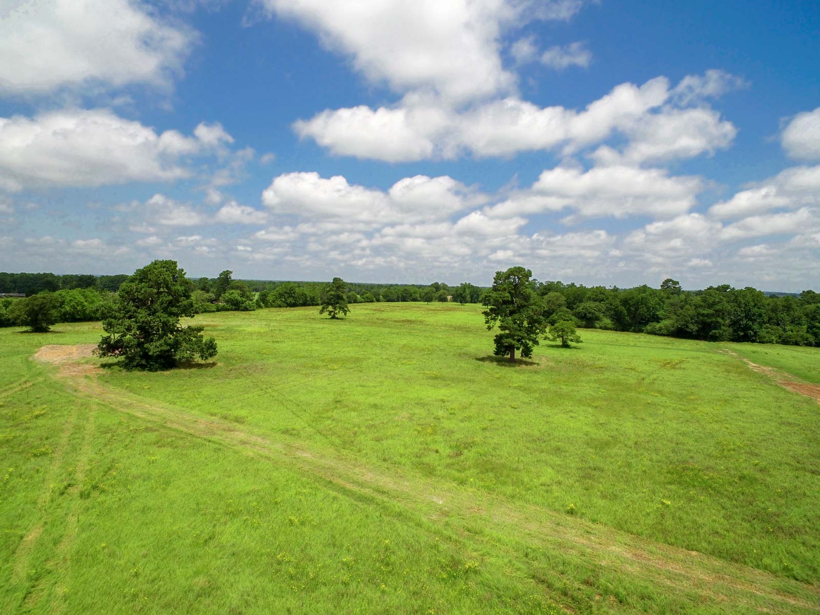 Spring Branch Ranch - Sold - Texas - Hall and Hall