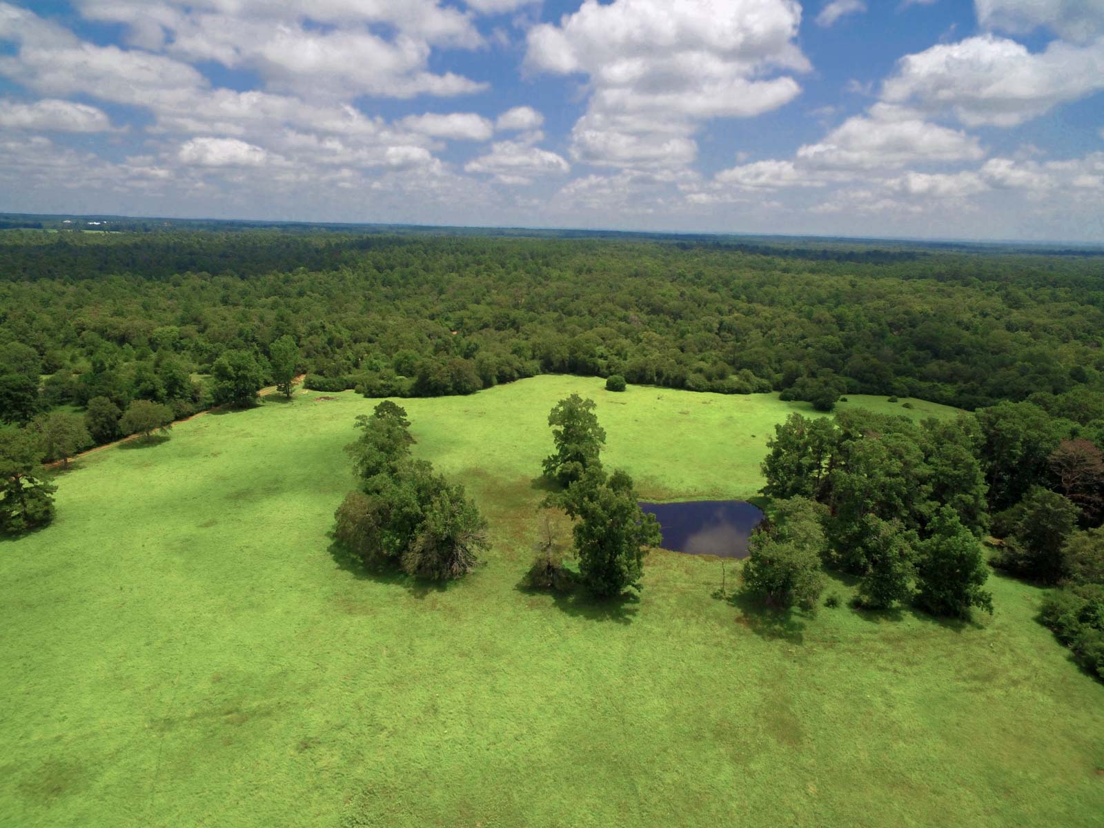 Spring Branch Ranch - Sold - Texas - Hall and Hall