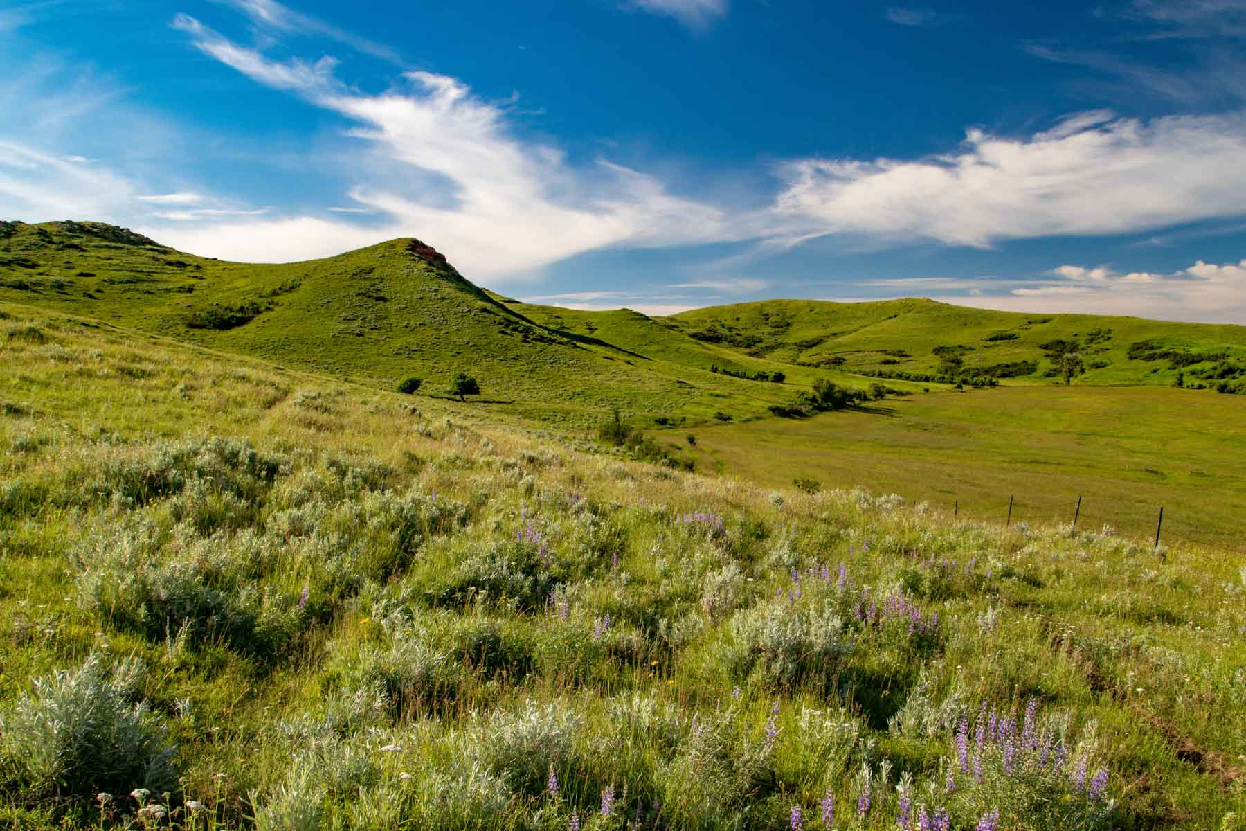 Prairie Dog Creek - Hall and Hall
