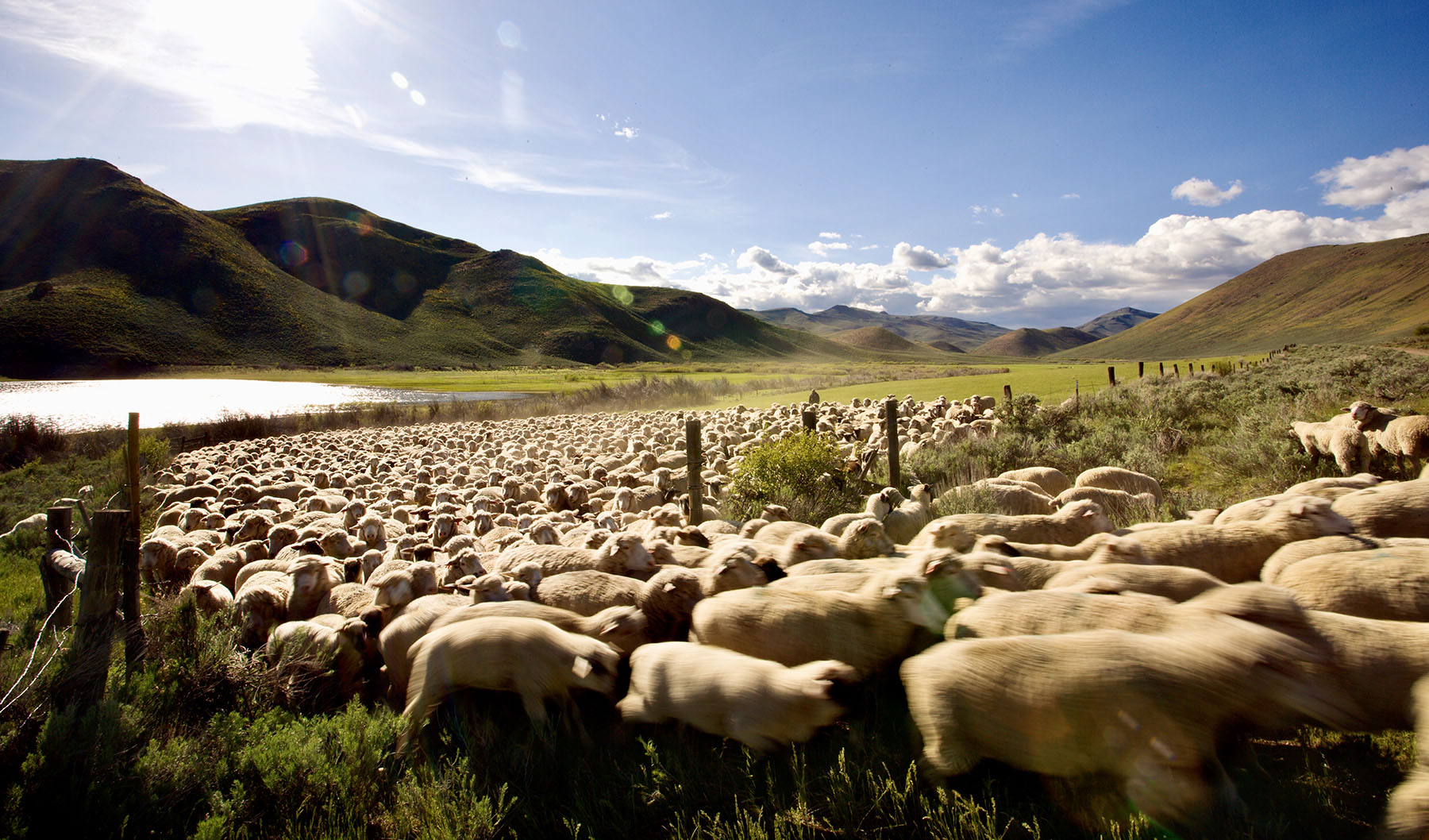 Lava Lake Ranch - Sold - Idaho - Hall and Hall